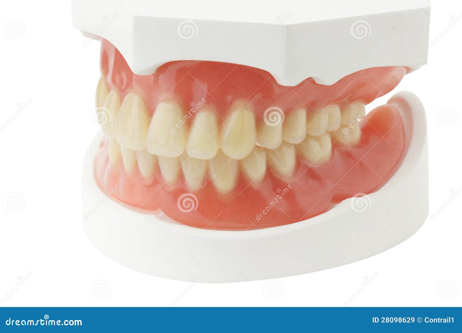 Volledig Gebit stock afbeelding. Image of plaat, apparatuur - 28098629