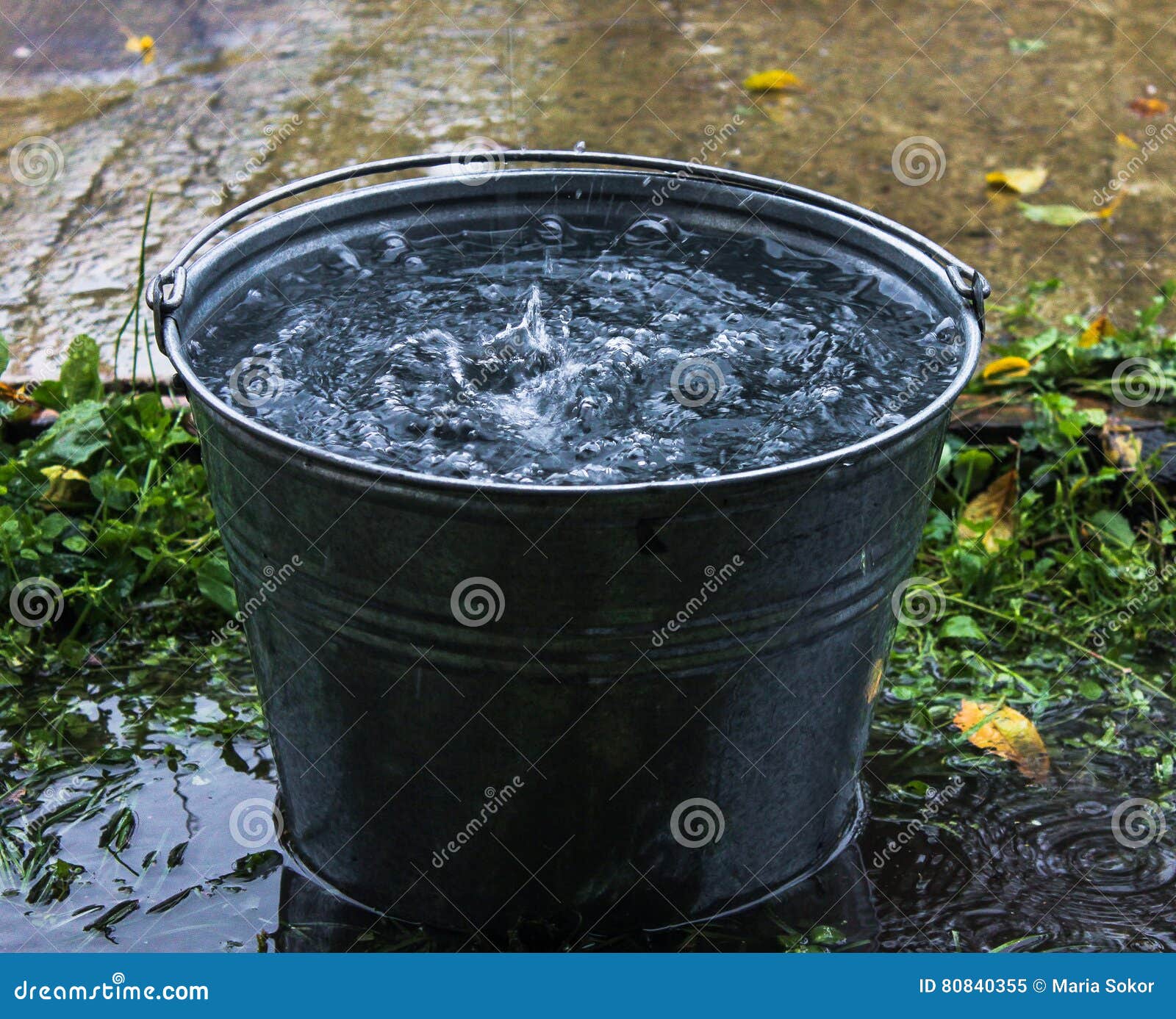 Volledige Emmer Water Regen Stock Afbeelding - Image of druppel, stroom ...