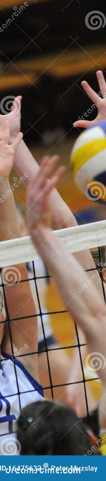 Volleyball action stock photo. Image of game, competition - 16475632