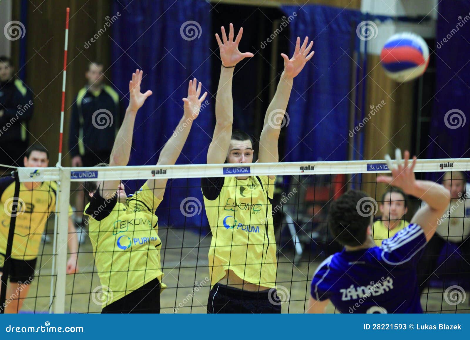 Volleyball - Blocking Michal Lohr Editorial Stock Photo - Image of ...
