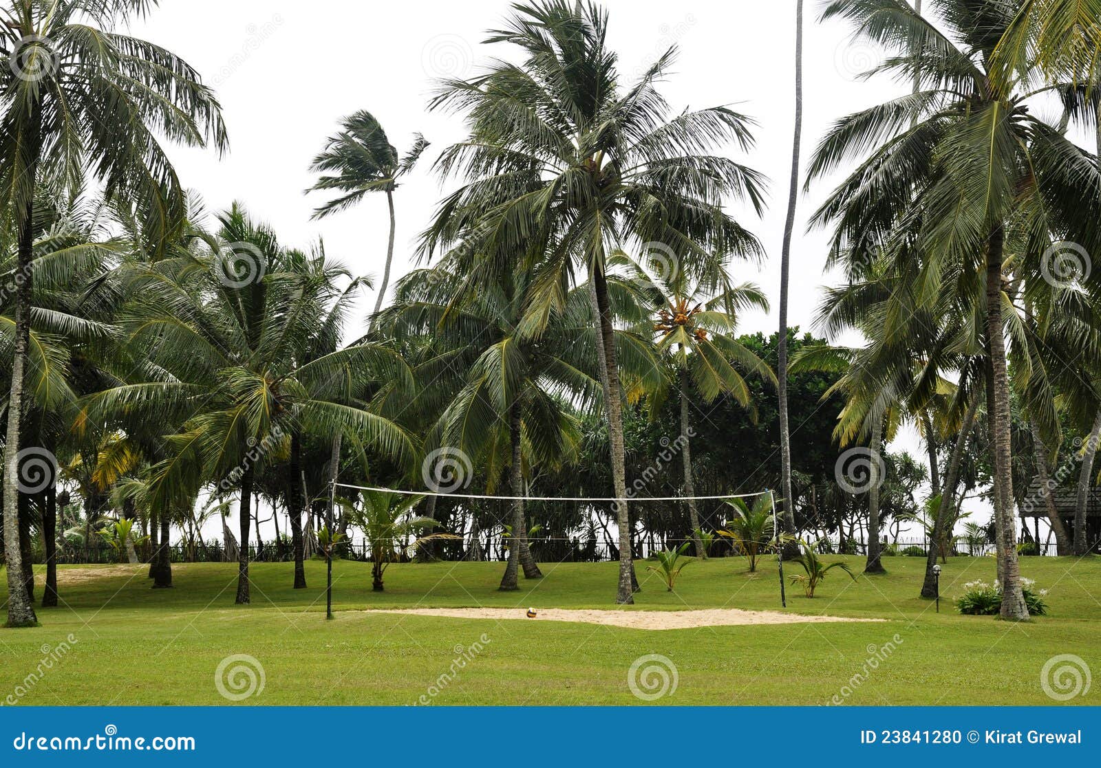 Volleyball Field on the Coast Stock Photo - Image of adventure ...