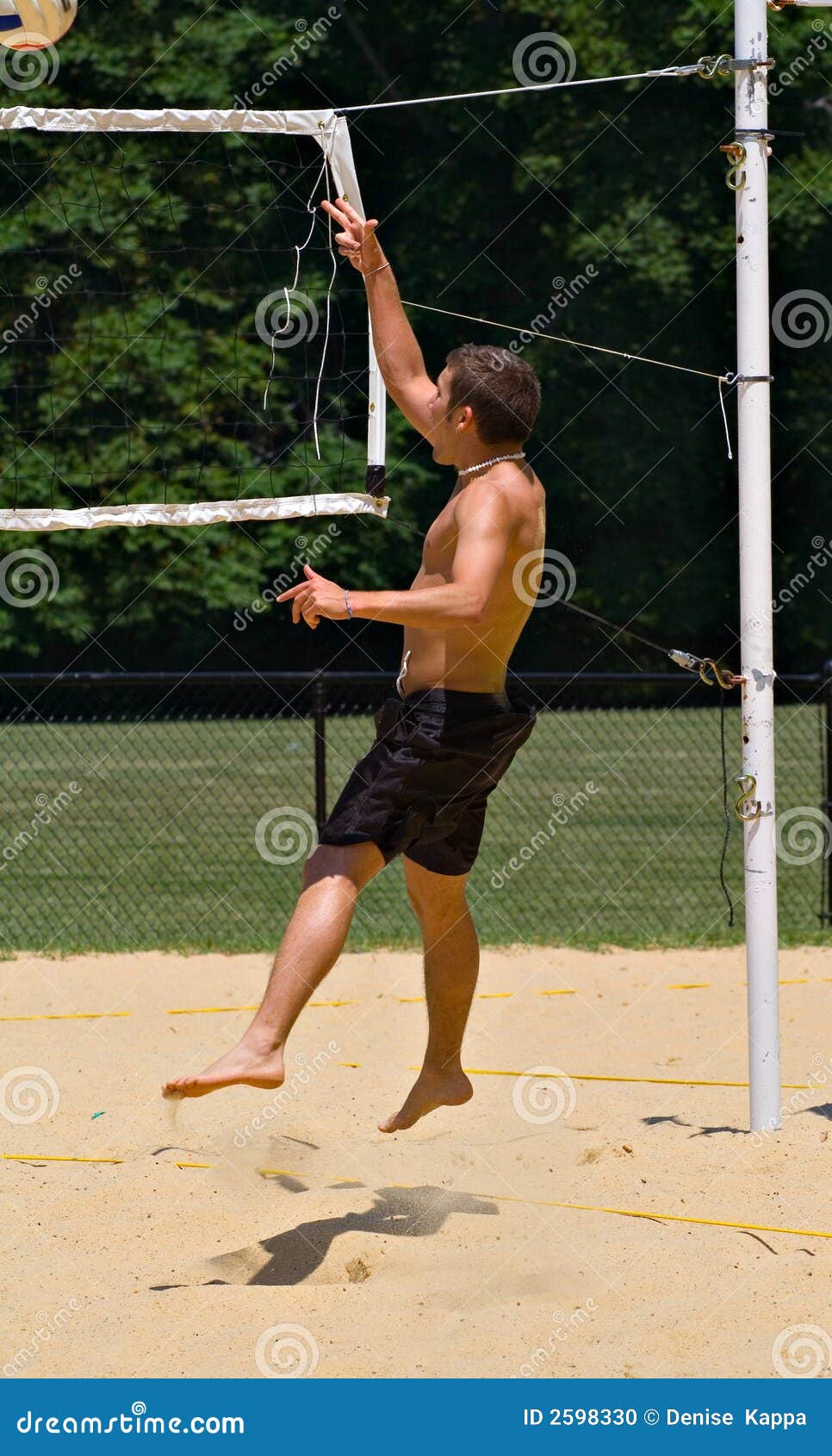 Volleyball Game stock photo. Image of outdoors, male, chest - 2598330