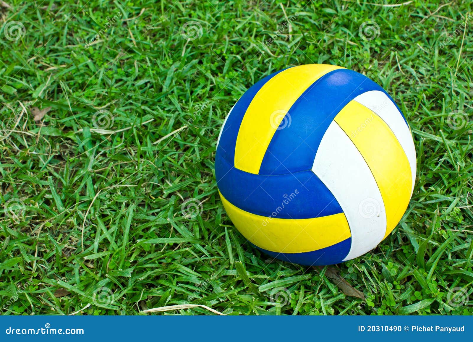 Volleyball on the Green Field Stock Photo - Image of sport, athletic ...