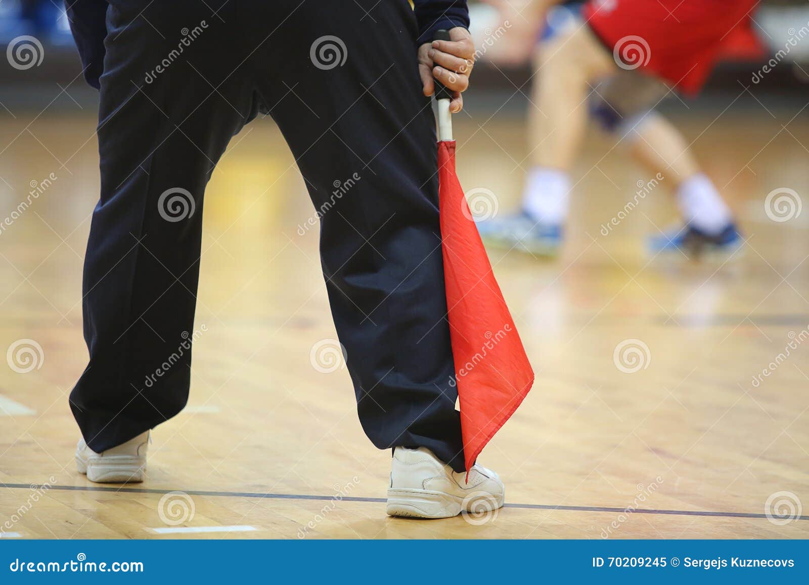 Volleyball Referee on the Line Stock Image - Image of health, hall ...