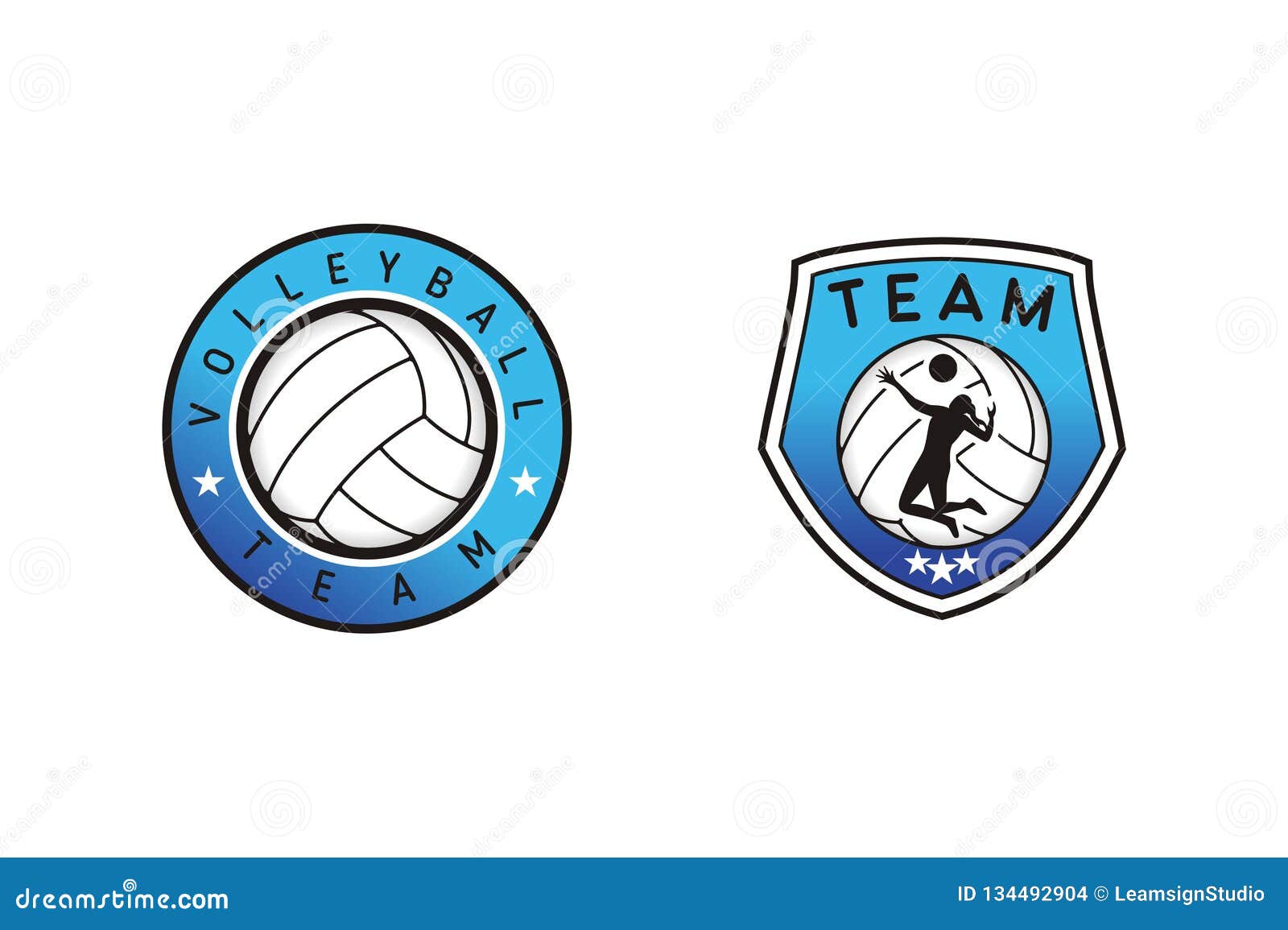 Volleyball Team Logo Design Stock Vector - Illustration of beauty, logo ...