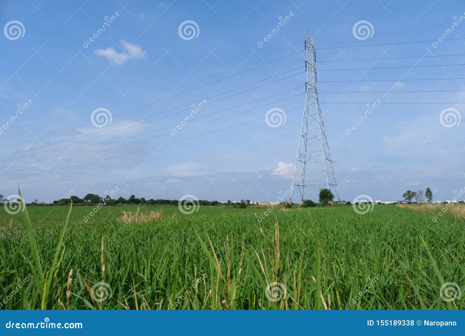 High Pole Spotlight Stadium Lights With Blue Sky Background. Royalty ...