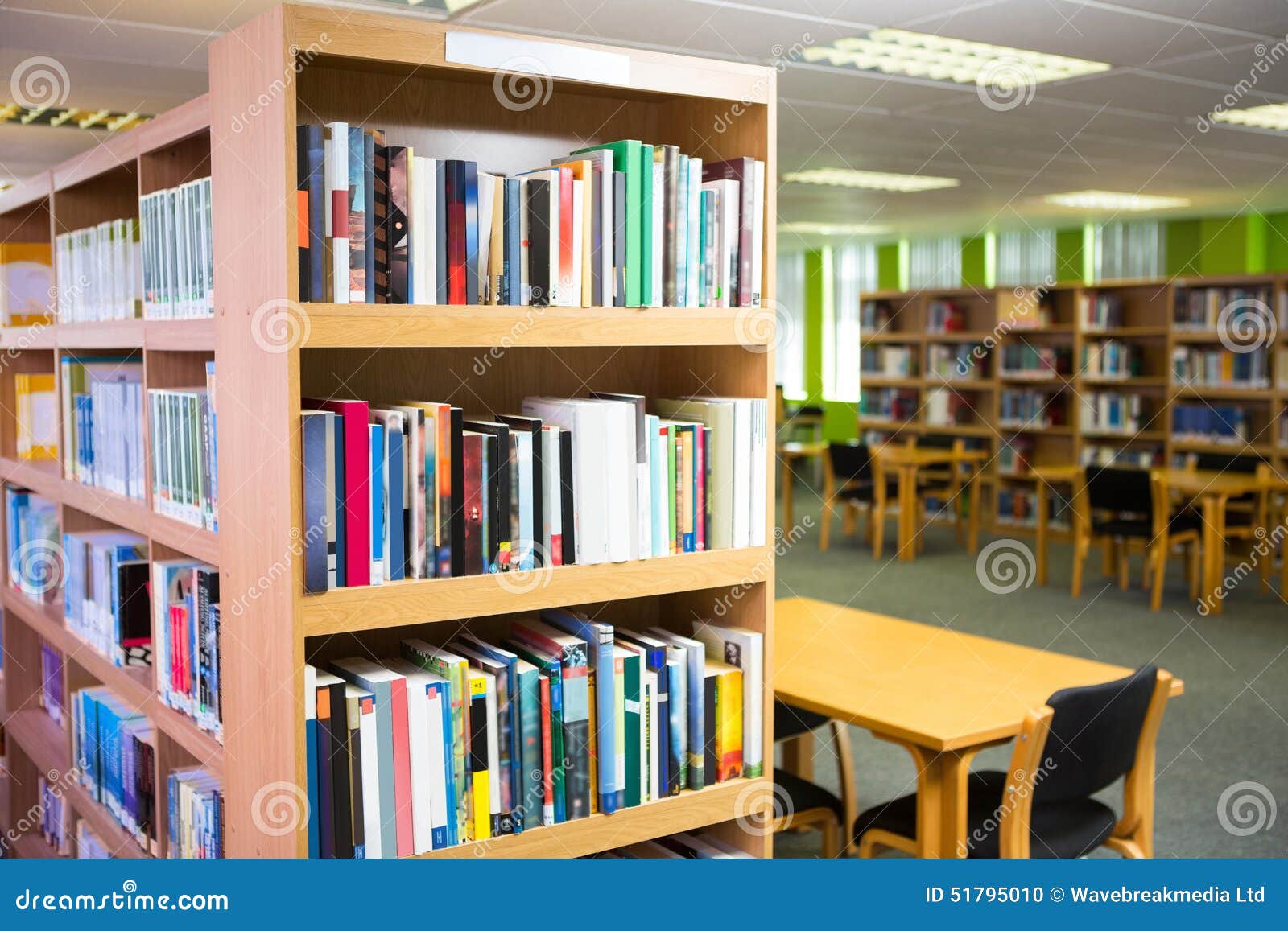 Volumes of Books on Bookshelf in Library Stock Photo - Image of ...