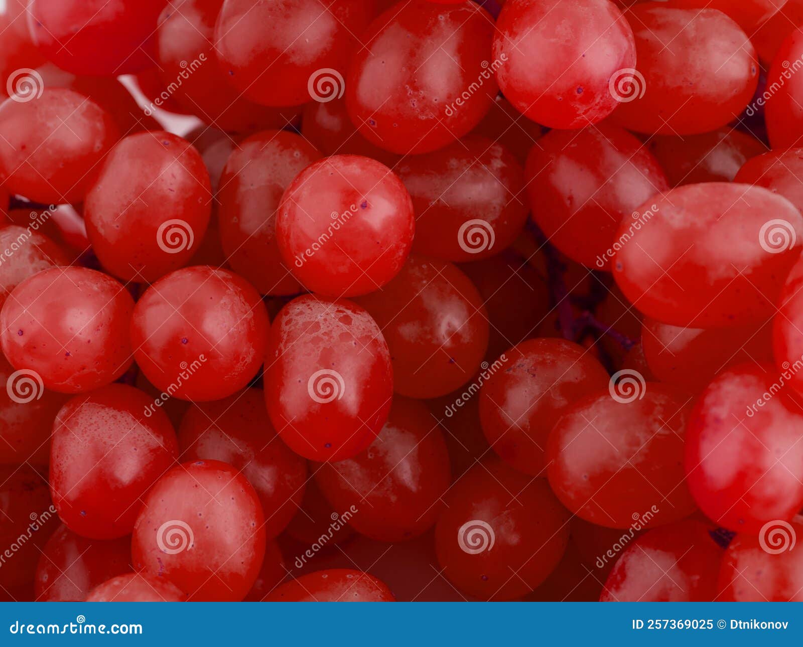 Voluminous Texture of Grapes in Red Stock Image - Image of wine, french ...