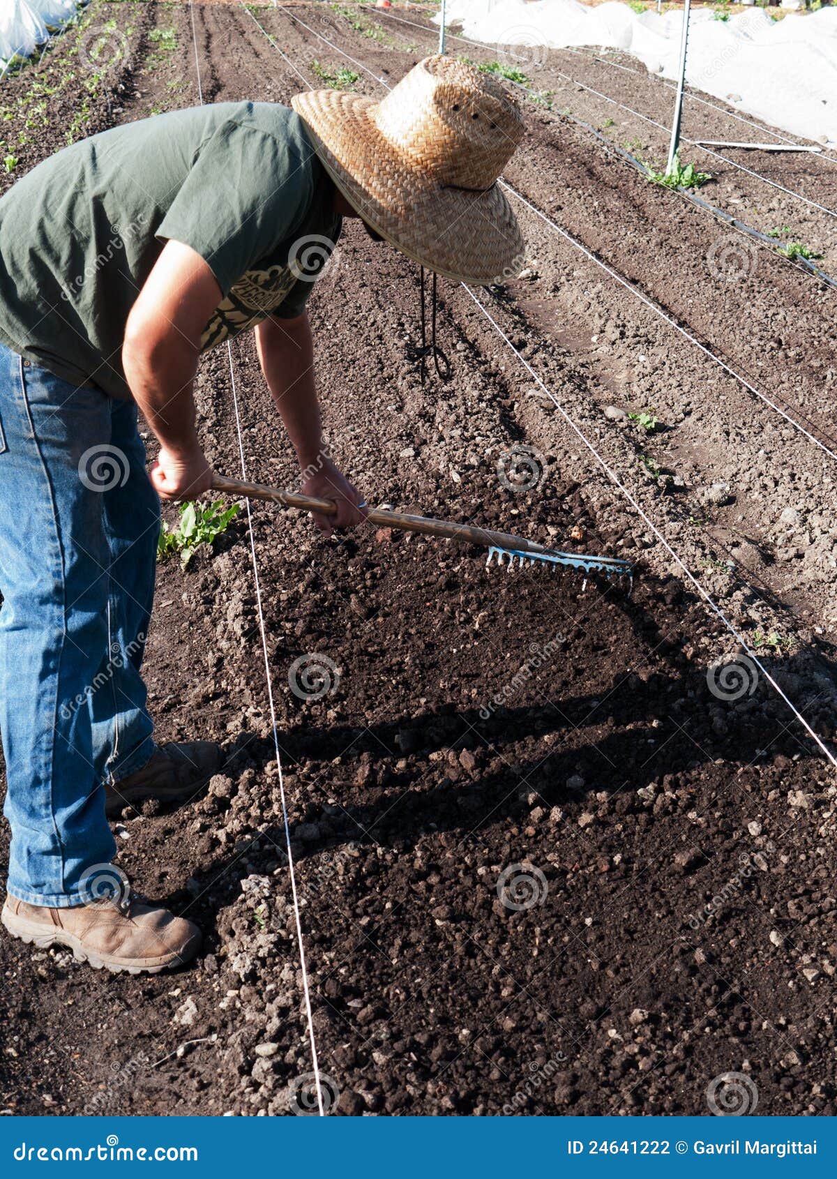 Volunteer Preparing Soil at Community Farm Editorial Photography ...
