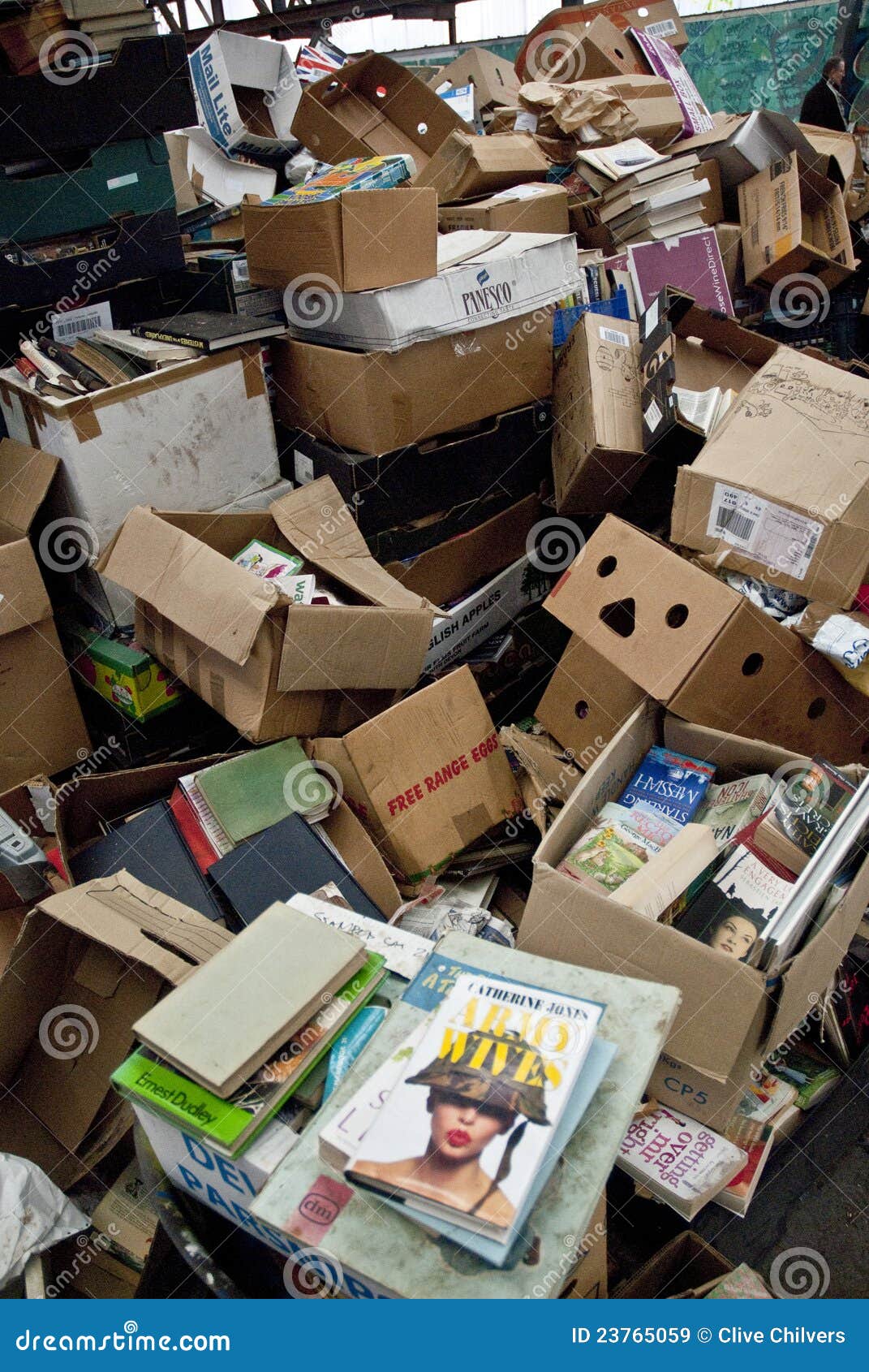 Volunteers from Book-Cycle, the UK Volutary Editorial Stock Image ...