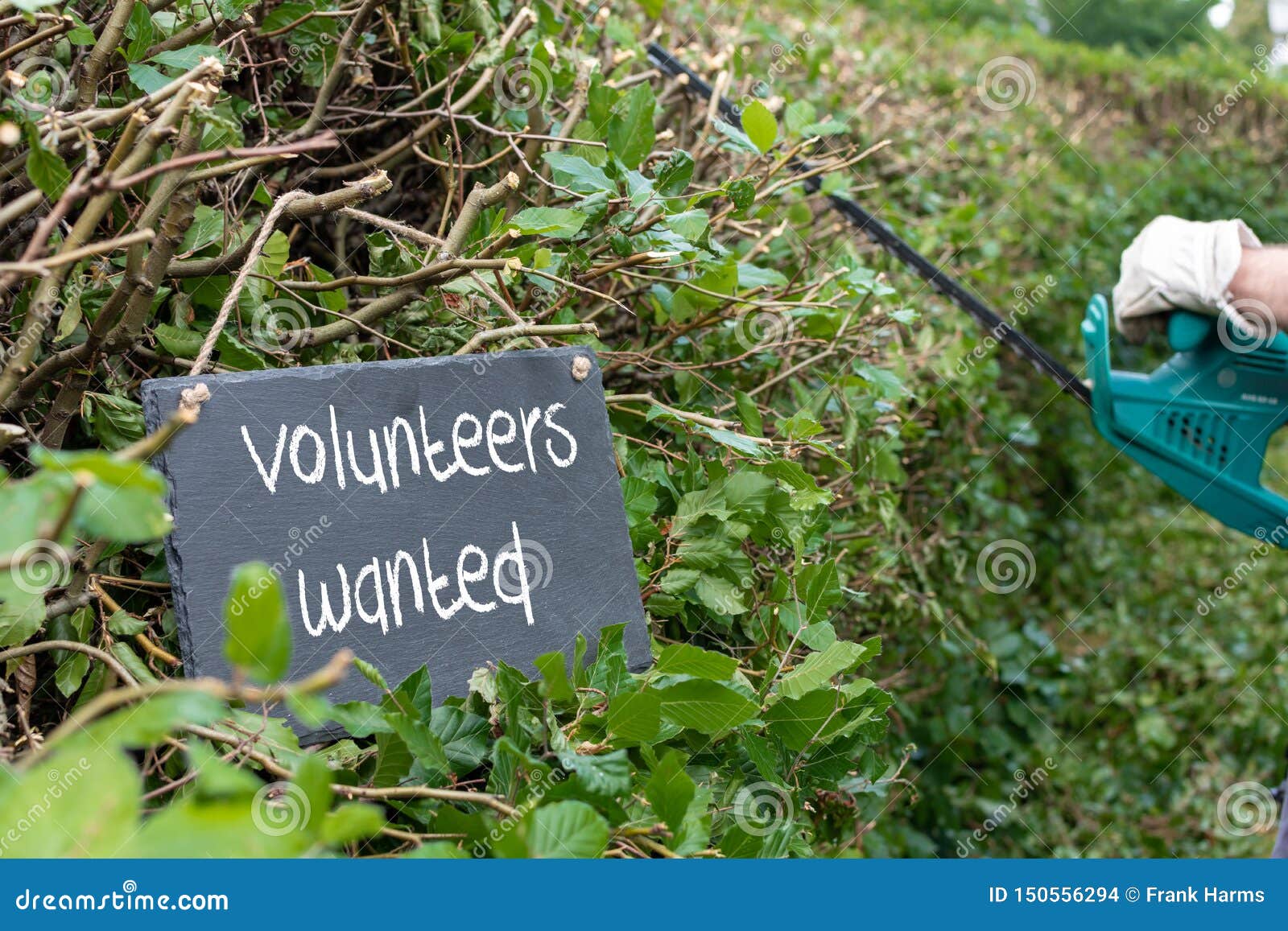 Volunteers Needed for Garden Work. the Sentence `volunteers Wanted ...