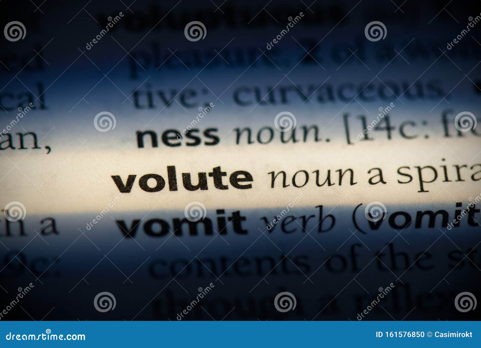 Volute stock photo. Image of detail, reference, highlight - 161576850