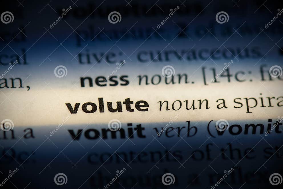 Volute stock photo. Image of detail, reference, highlight - 161576850