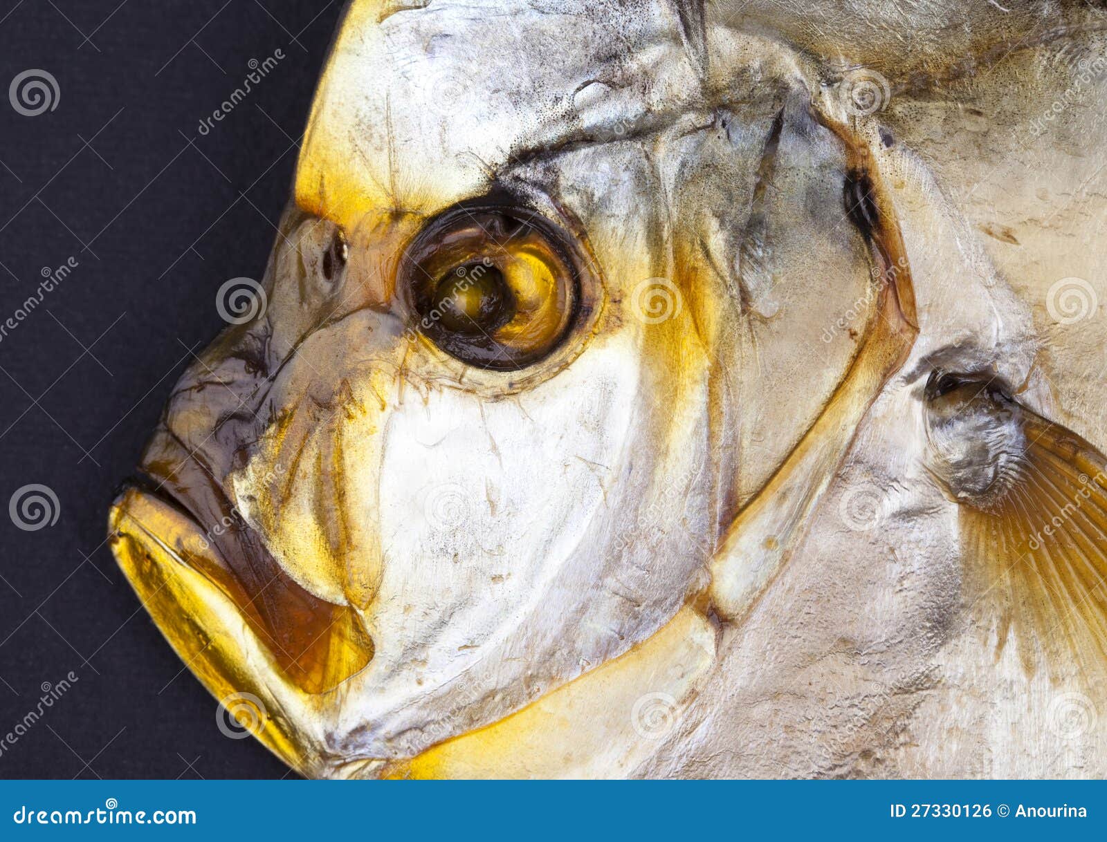 Vomer smoked stock photo. Image of bluntnose, dried, fish - 27330126