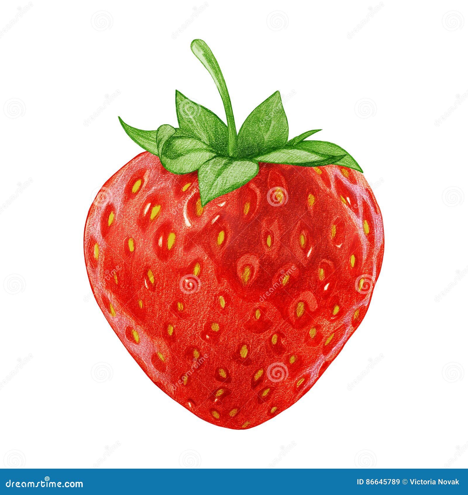 Von Hand Gezeichnete Illustration Der Erdbeere Stock Abbildung ...