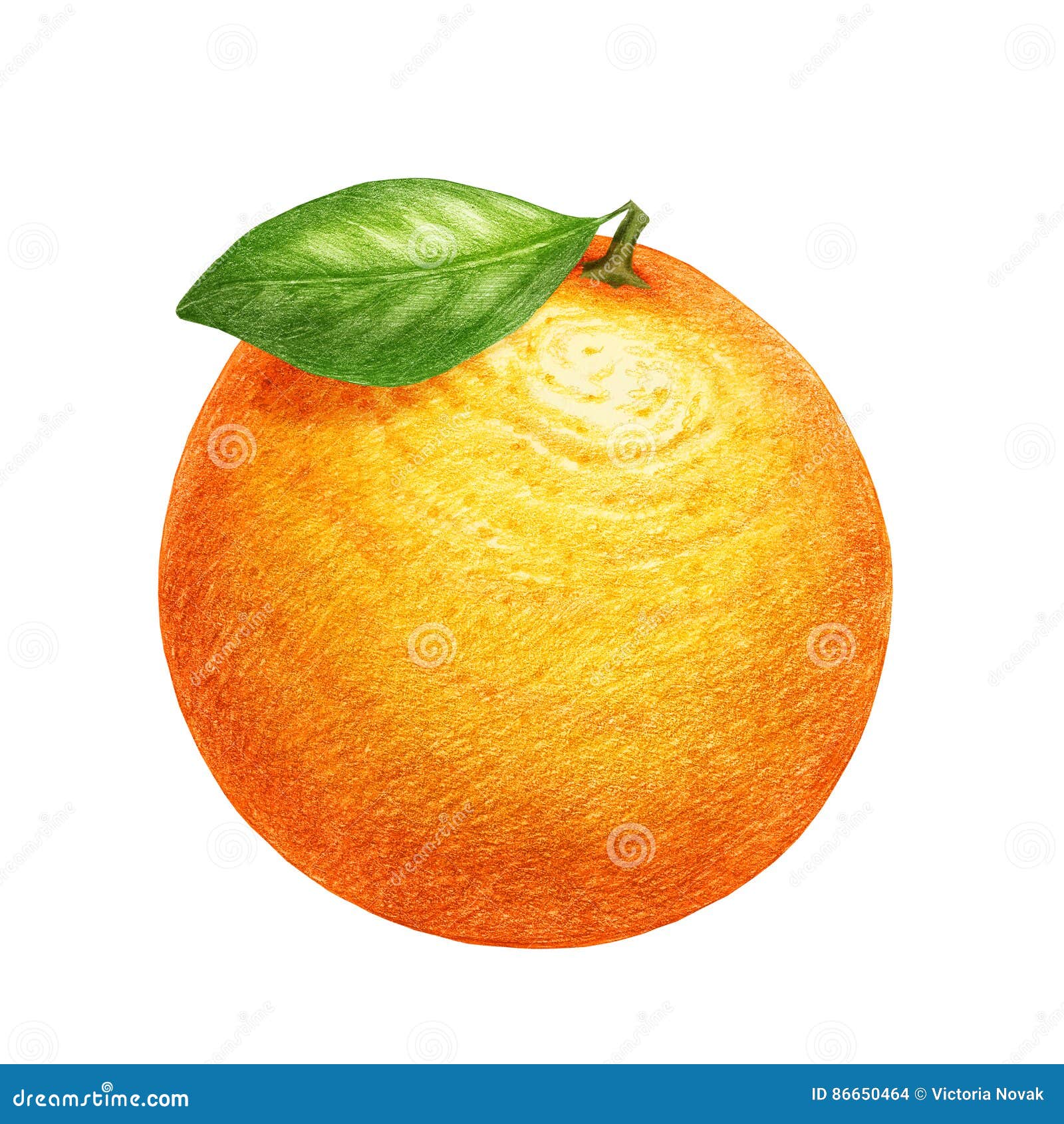 Von Hand Gezeichnete Illustration Der Orange Stock Abbildung ...