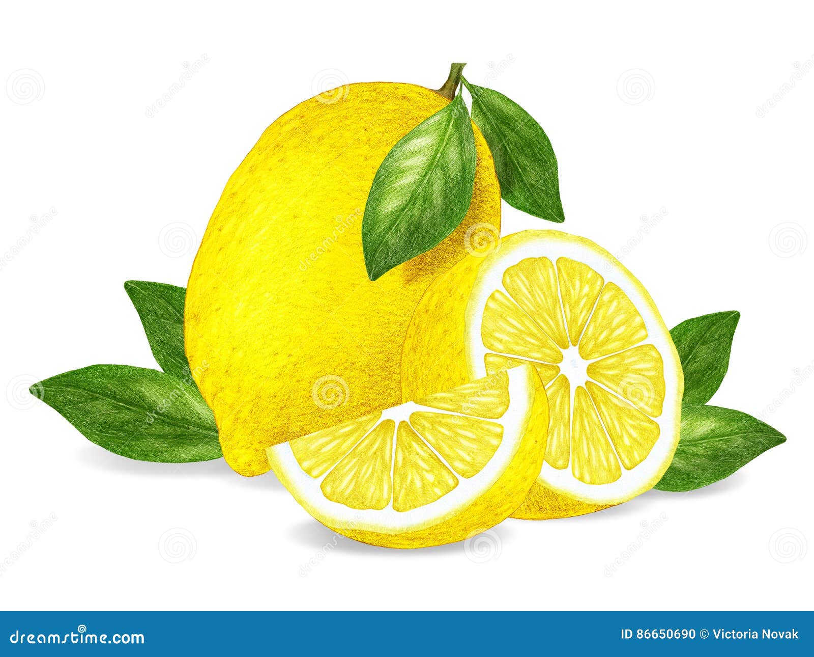 Von Hand Gezeichnete Illustration Der Zitrone Stock Abbildung ...