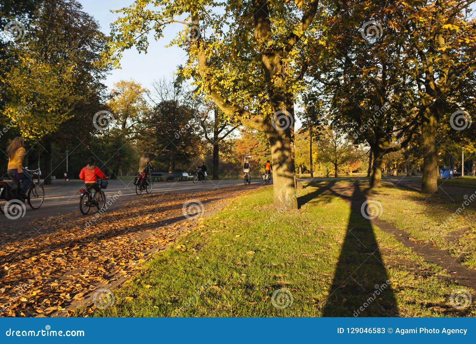 Vondelpark in Amsterdam editorial stock photo. Image of beech - 129046583