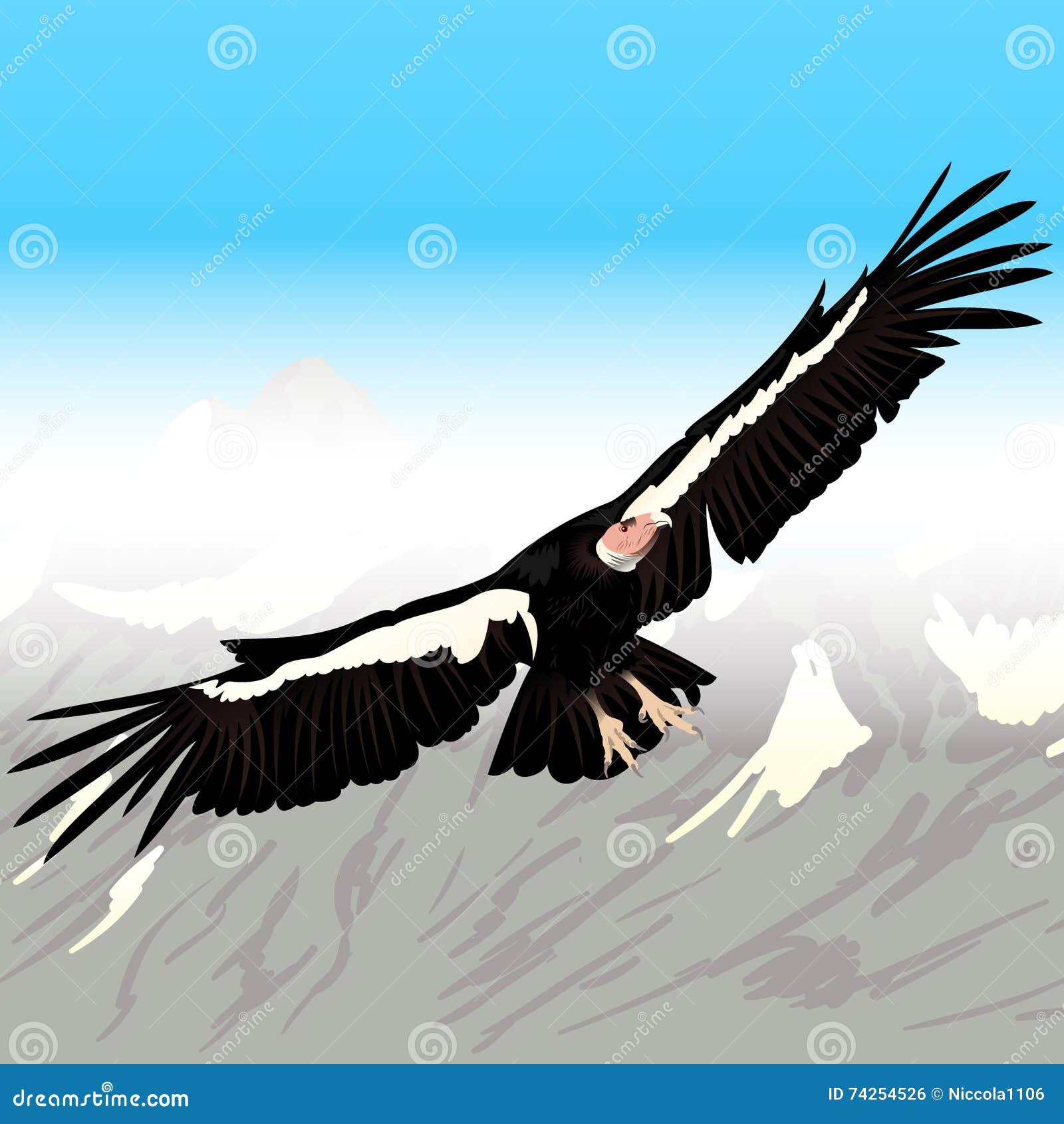Condor Ilustrações, Vetores E Clipart De Stock – (1,226 Stock ...