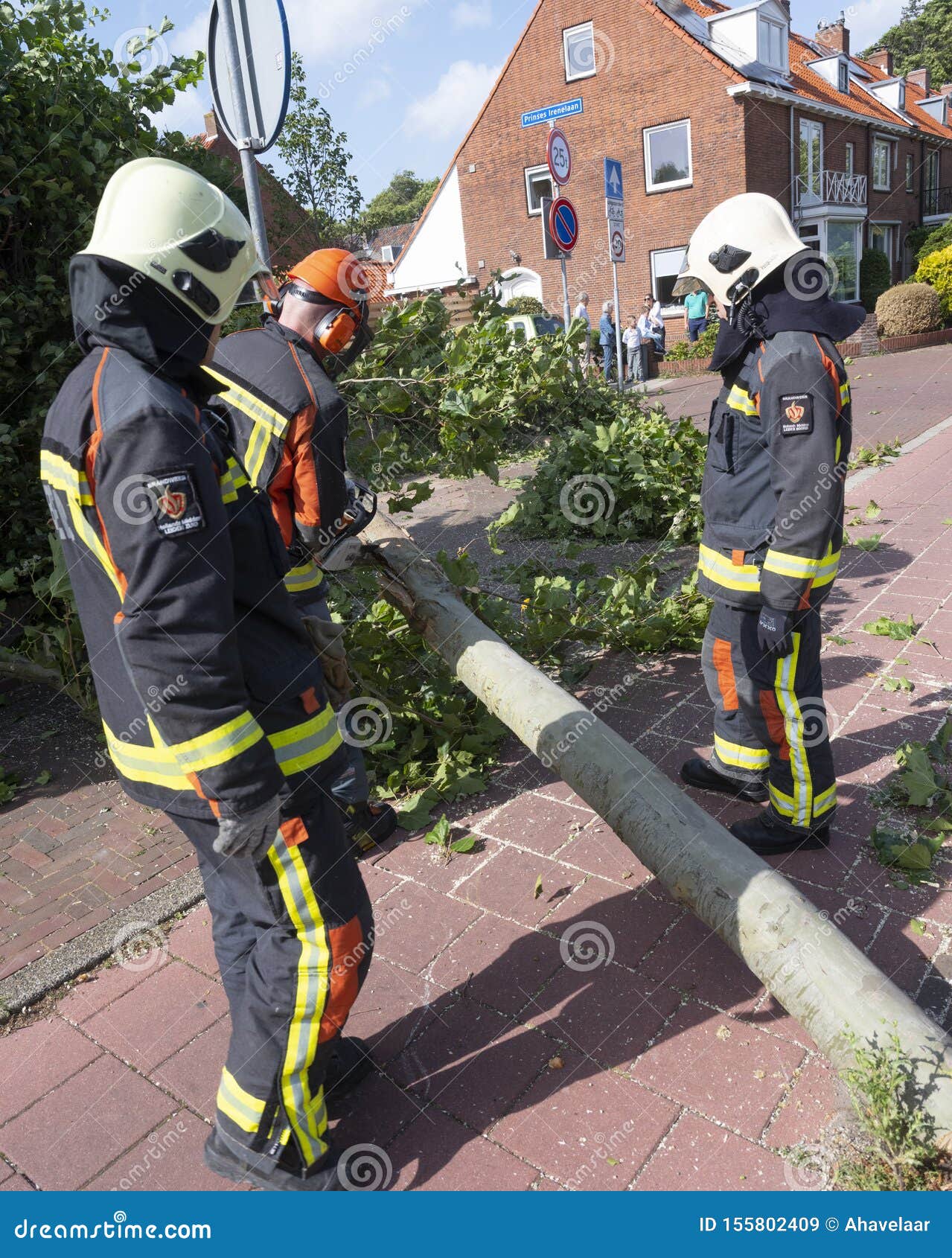 Firefighters Remove Fallen Tree in Dutch Town on Voorschoten in the ...