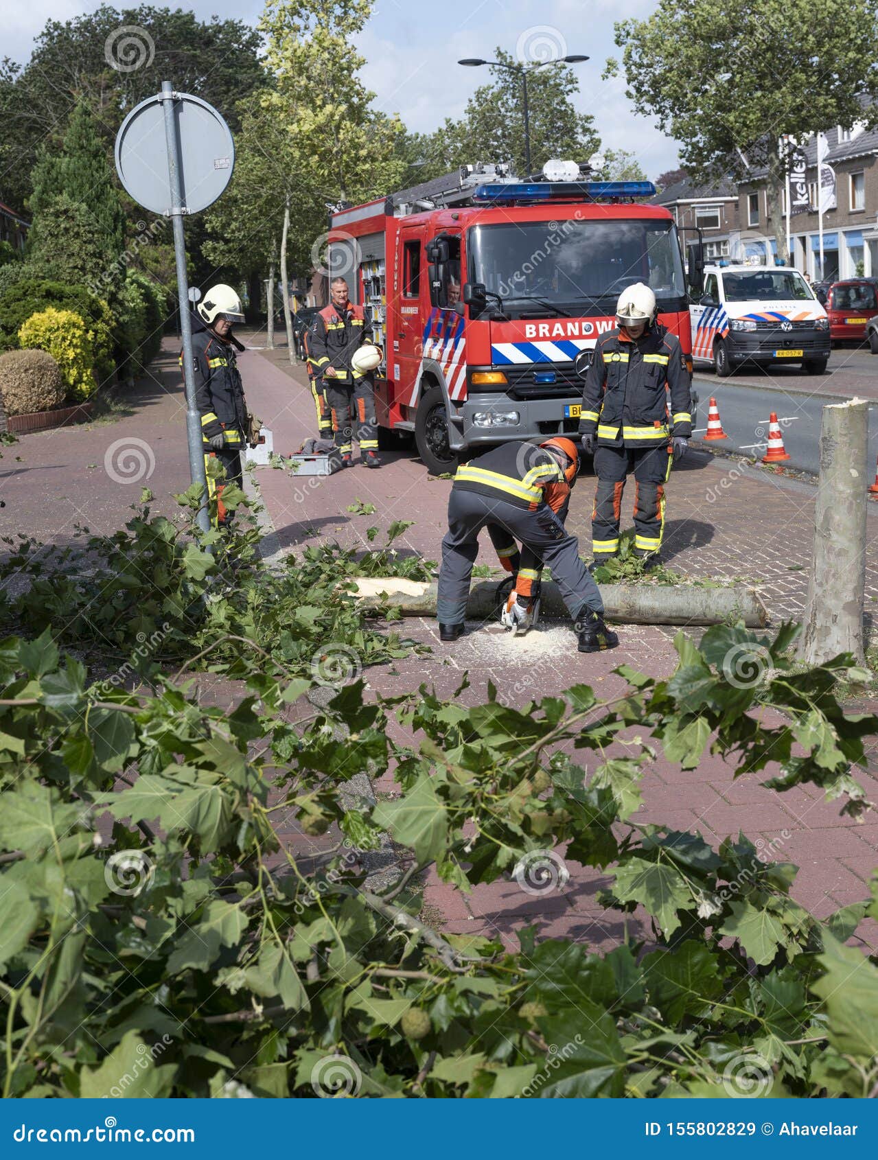 Firefighters Remove Fallen Tree in Dutch Town on Voorschoten in the ...