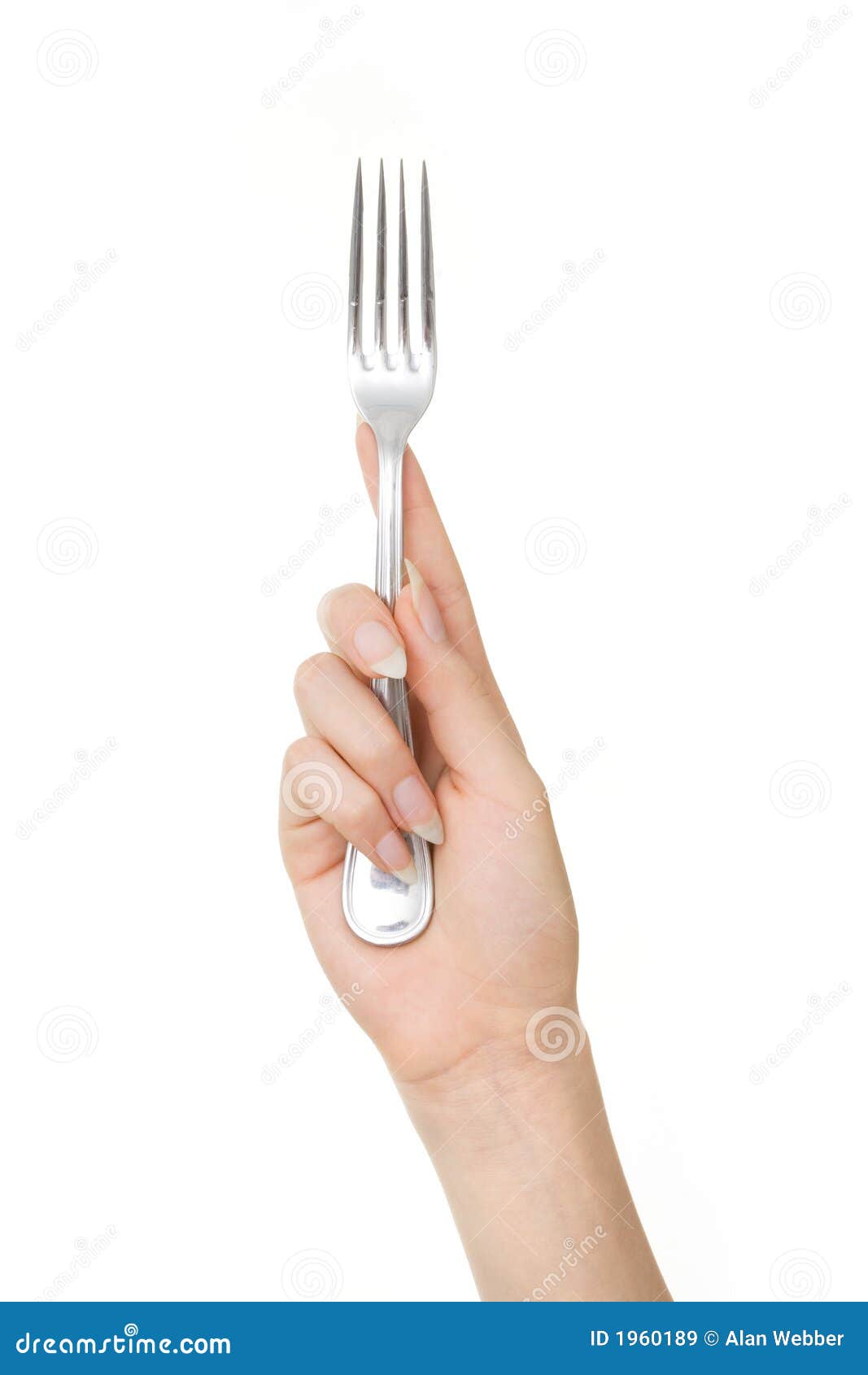 Vork stock afbeelding. Image of gastronomisch, dineer - 1960189