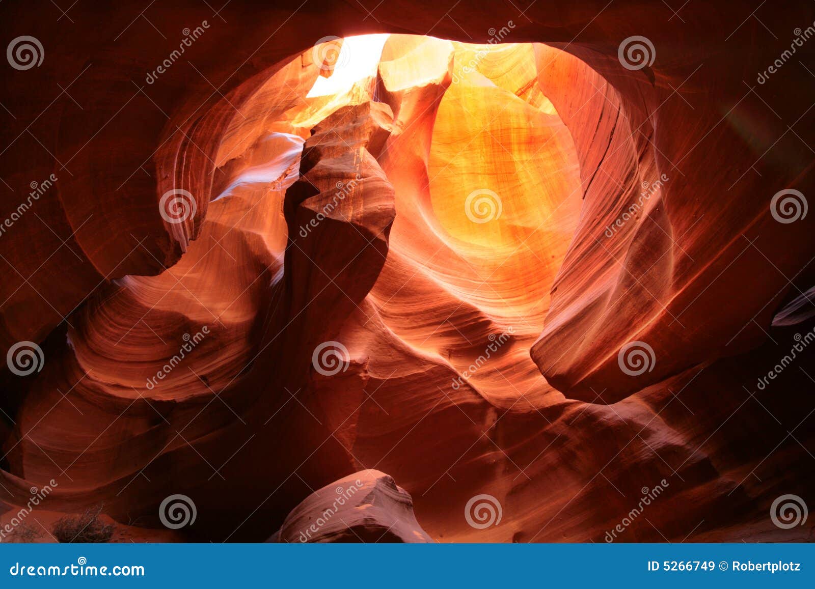 Antolope Stock Photos - Download 6 Royalty Free Photos