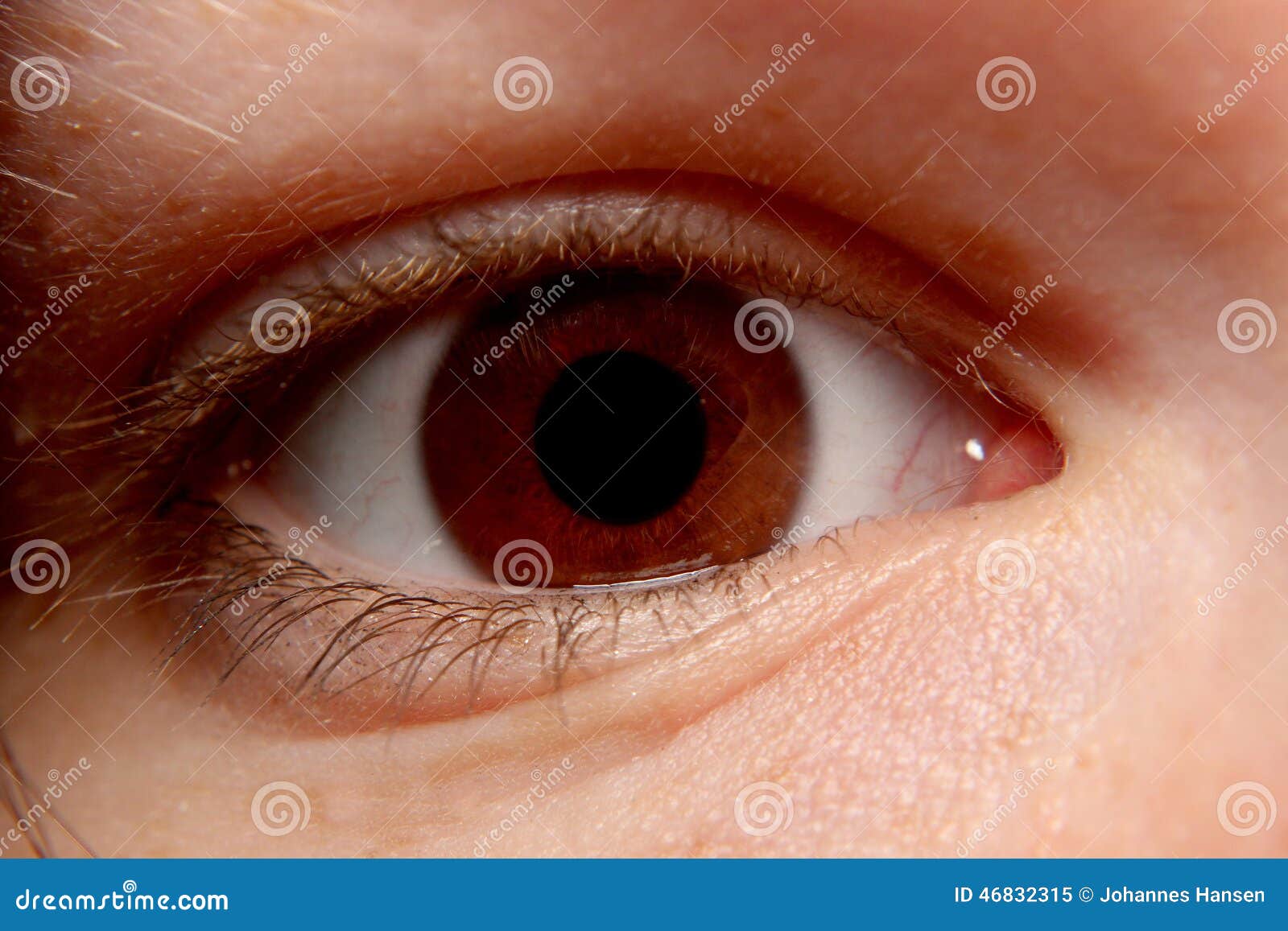 Vortex Eye stock image. Image of shiny, lifestyles, processing - 46832315