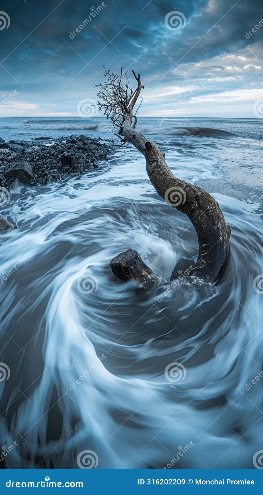 A Vortex Stirs the Deep Blue Sea, Pulling Driftwood and an Ancient ...