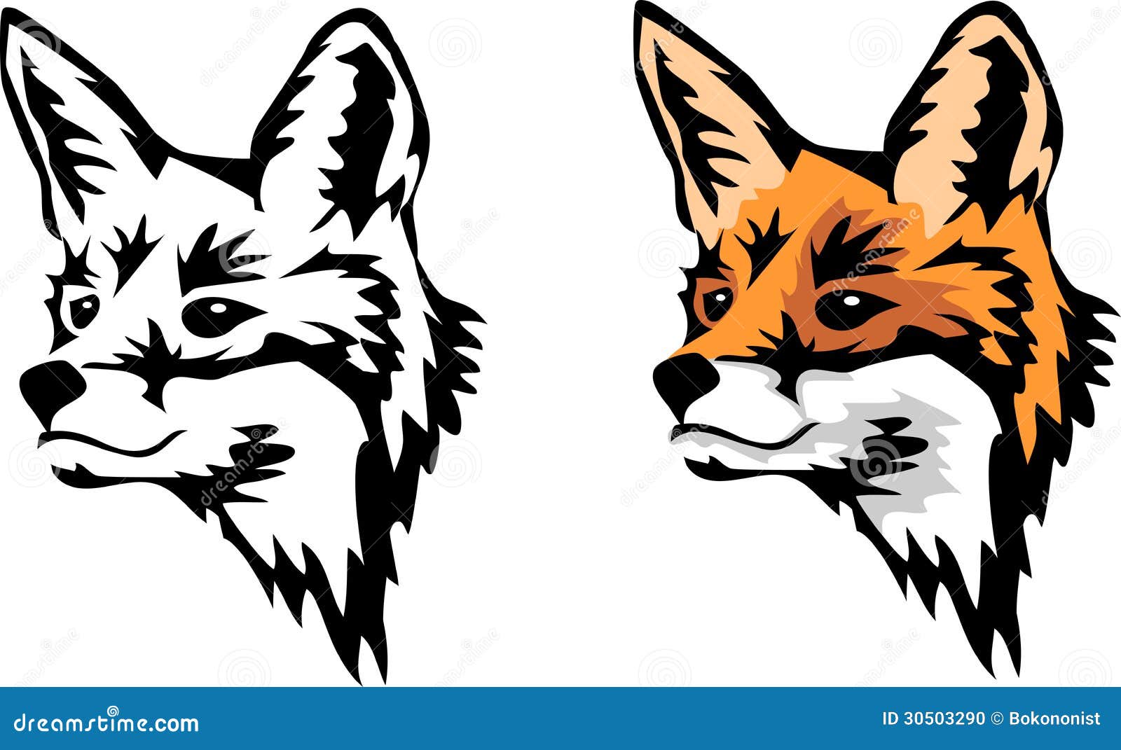 Vos vector illustratie. Illustration of jacht, honds - 30503290