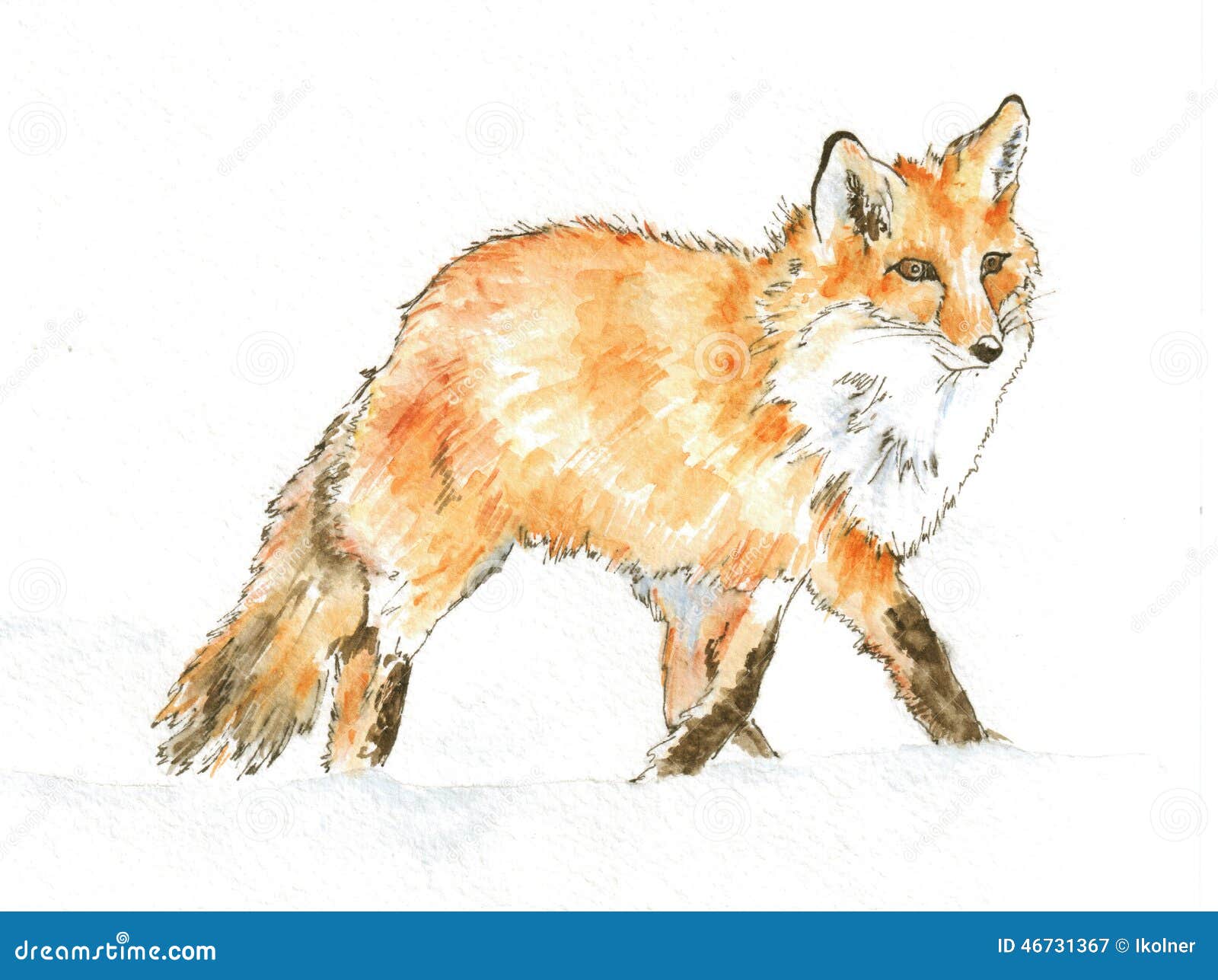 Vos stock illustratie. Illustration of dier, zoogdier - 46731367