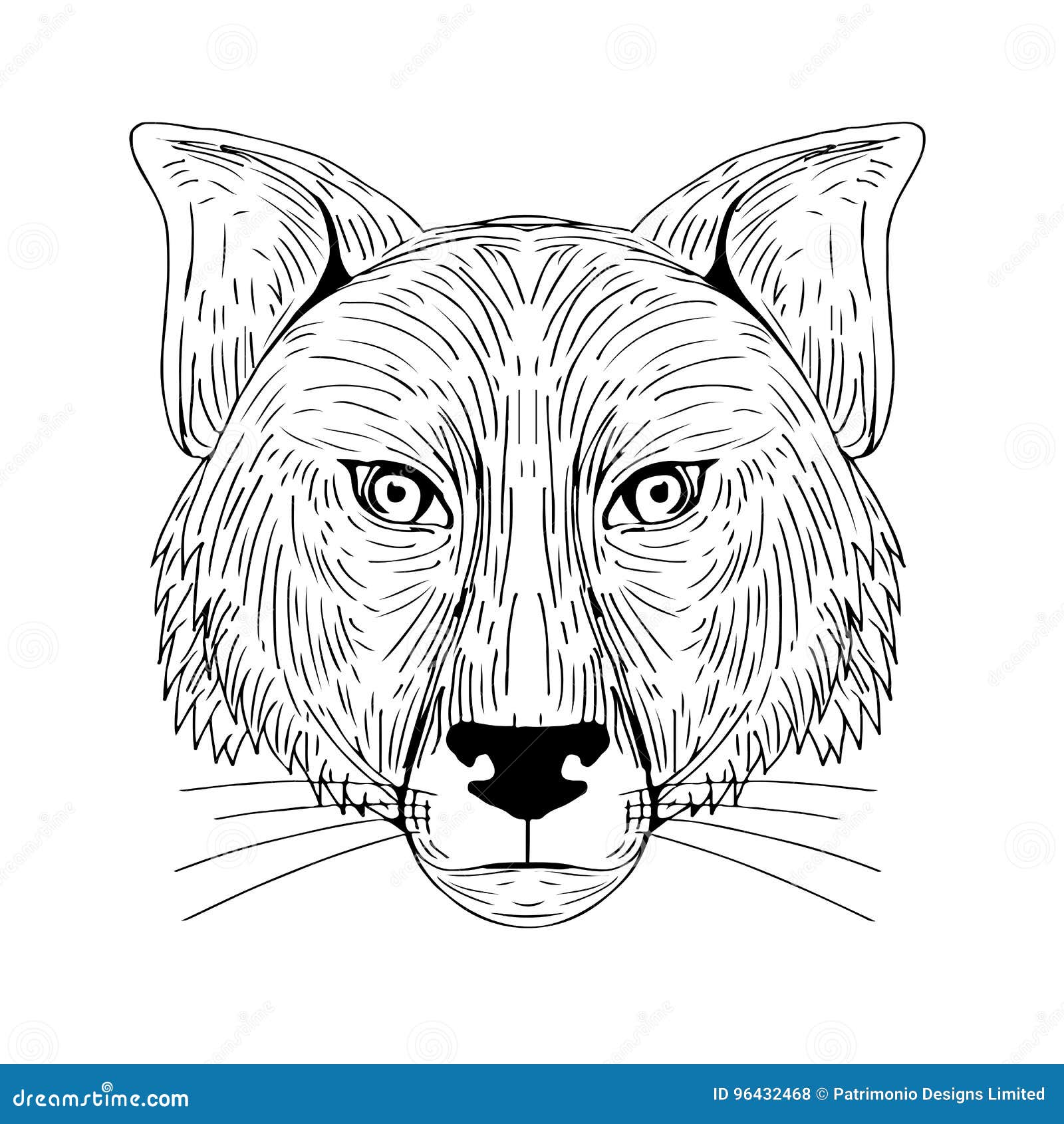 Vos Hoofdfront drawing stock illustratie. Illustration of geïsoleerd ...