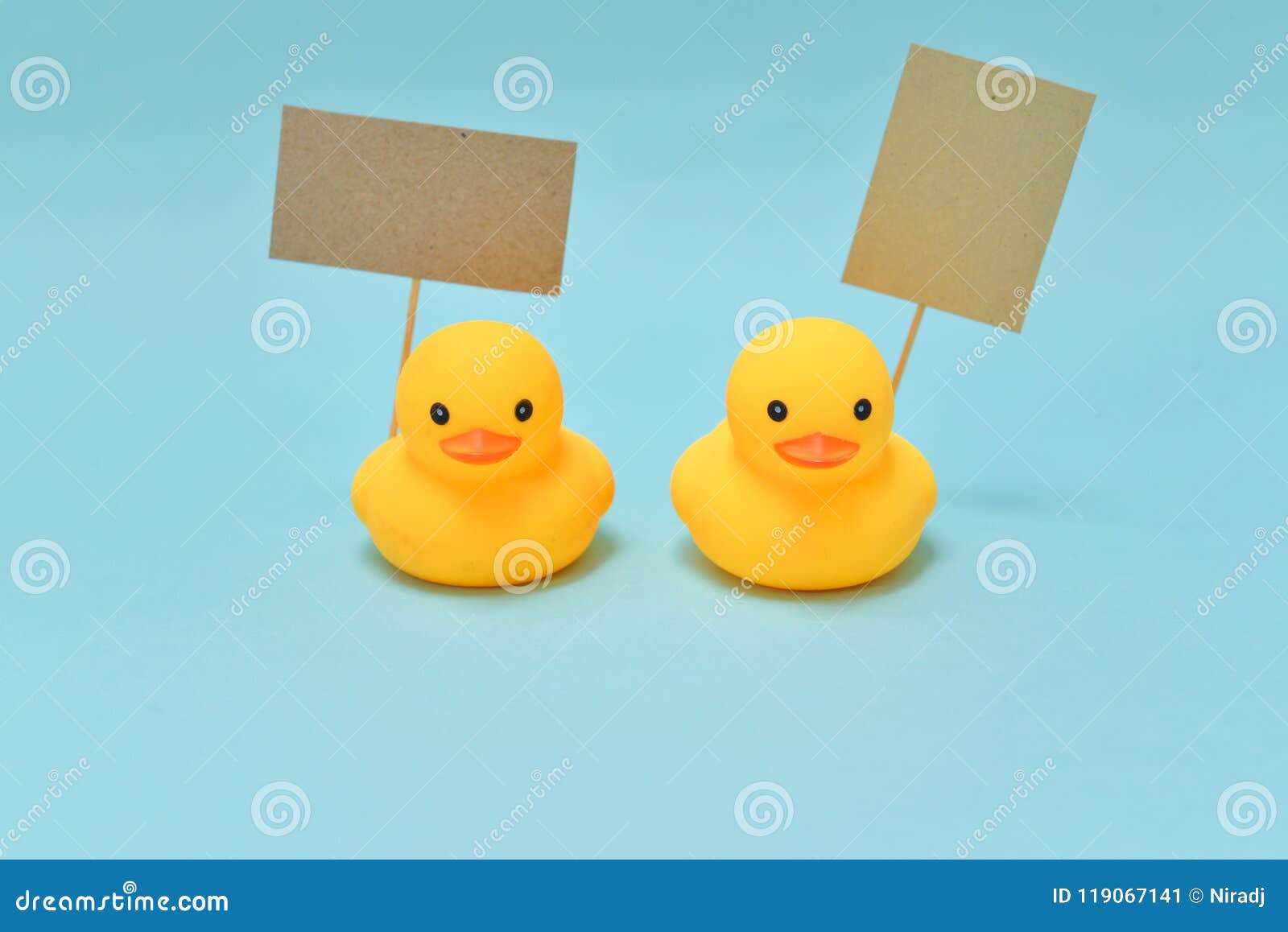 Vote Concept, Rubber Ducks are Holding Signboards Stock Image - Image ...