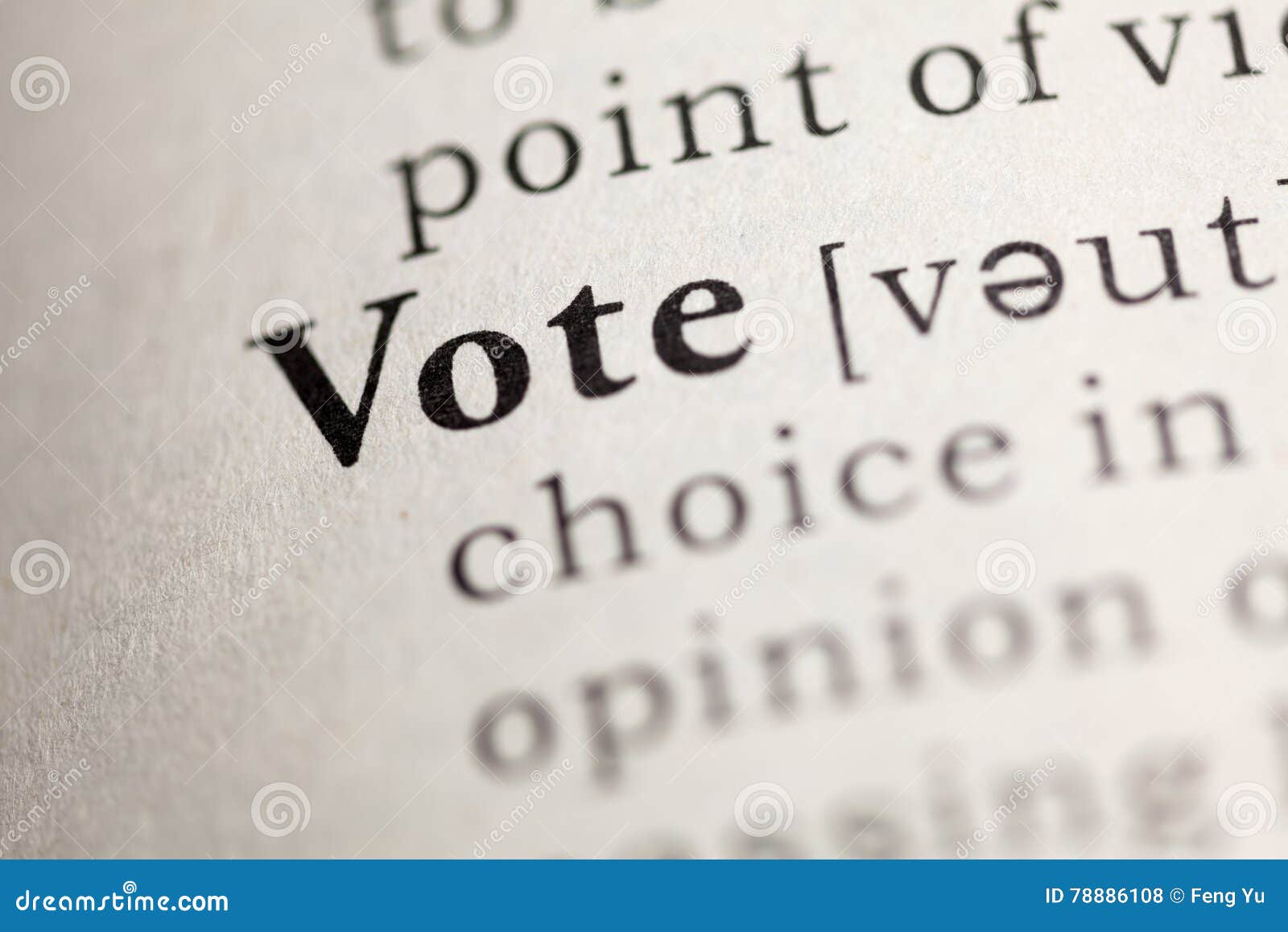 Referendum Definition