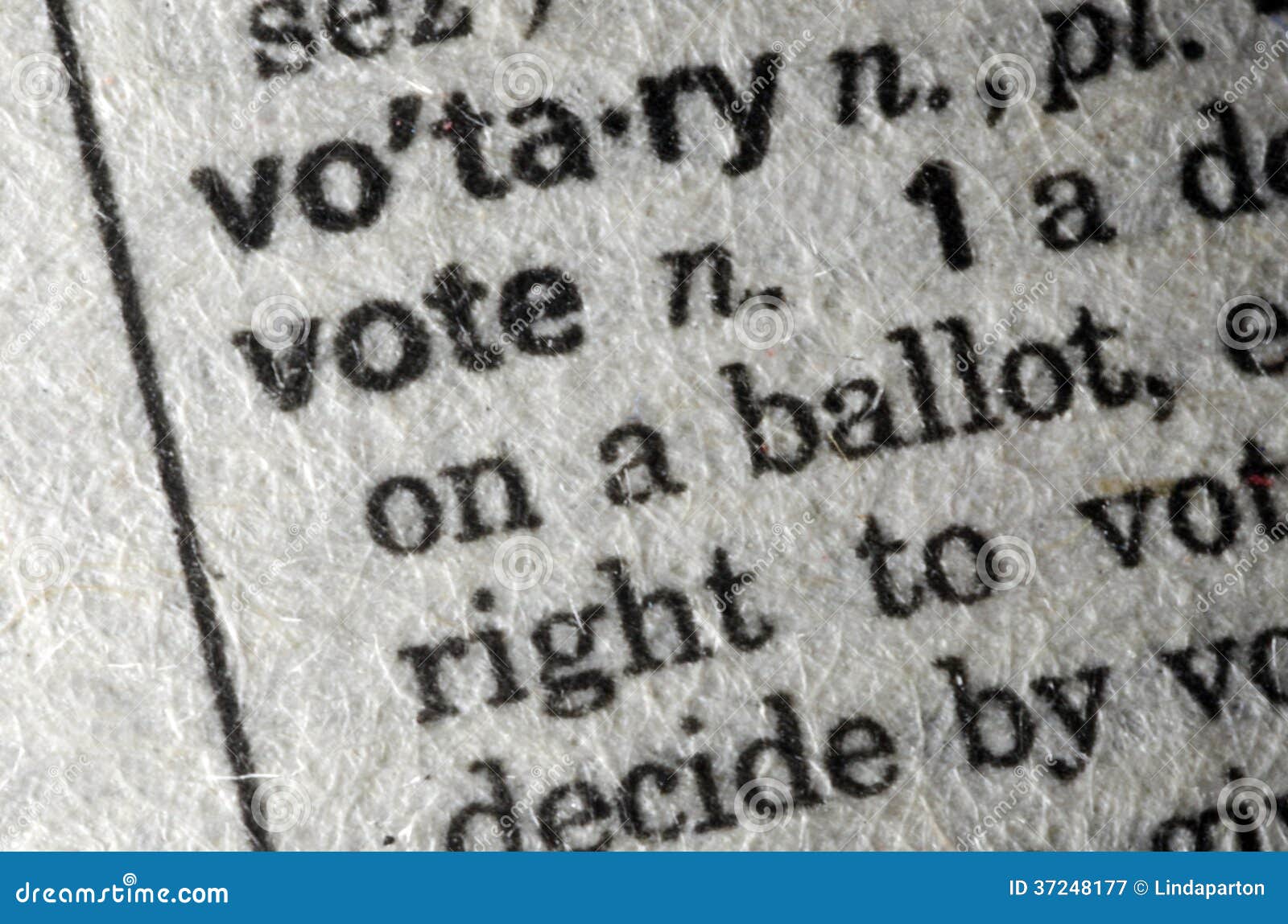 Vote Pictured in the Dictionary Stock Image - Image of white, decide ...