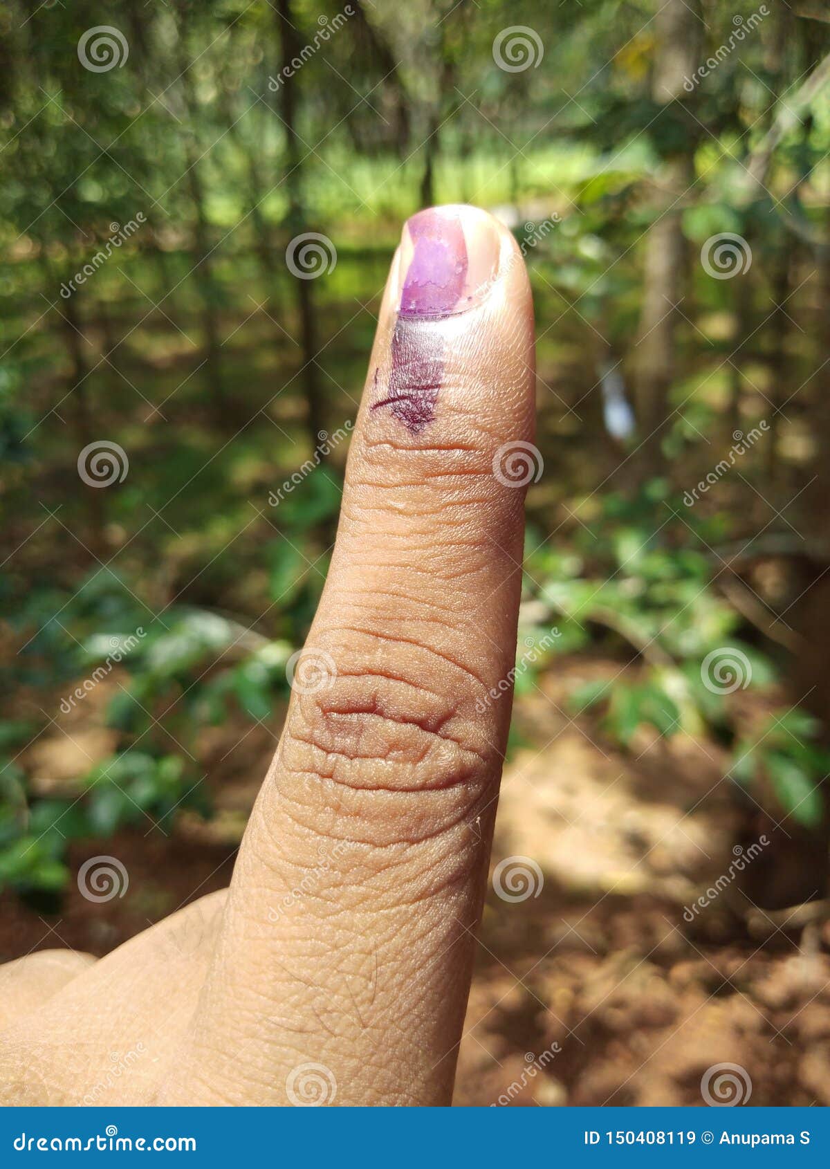 Voted in election stock image. Image of voted, election - 150408119