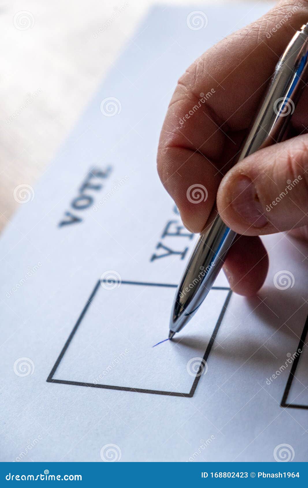 Voting ballot with choices stock image. Image of checklist - 168802423