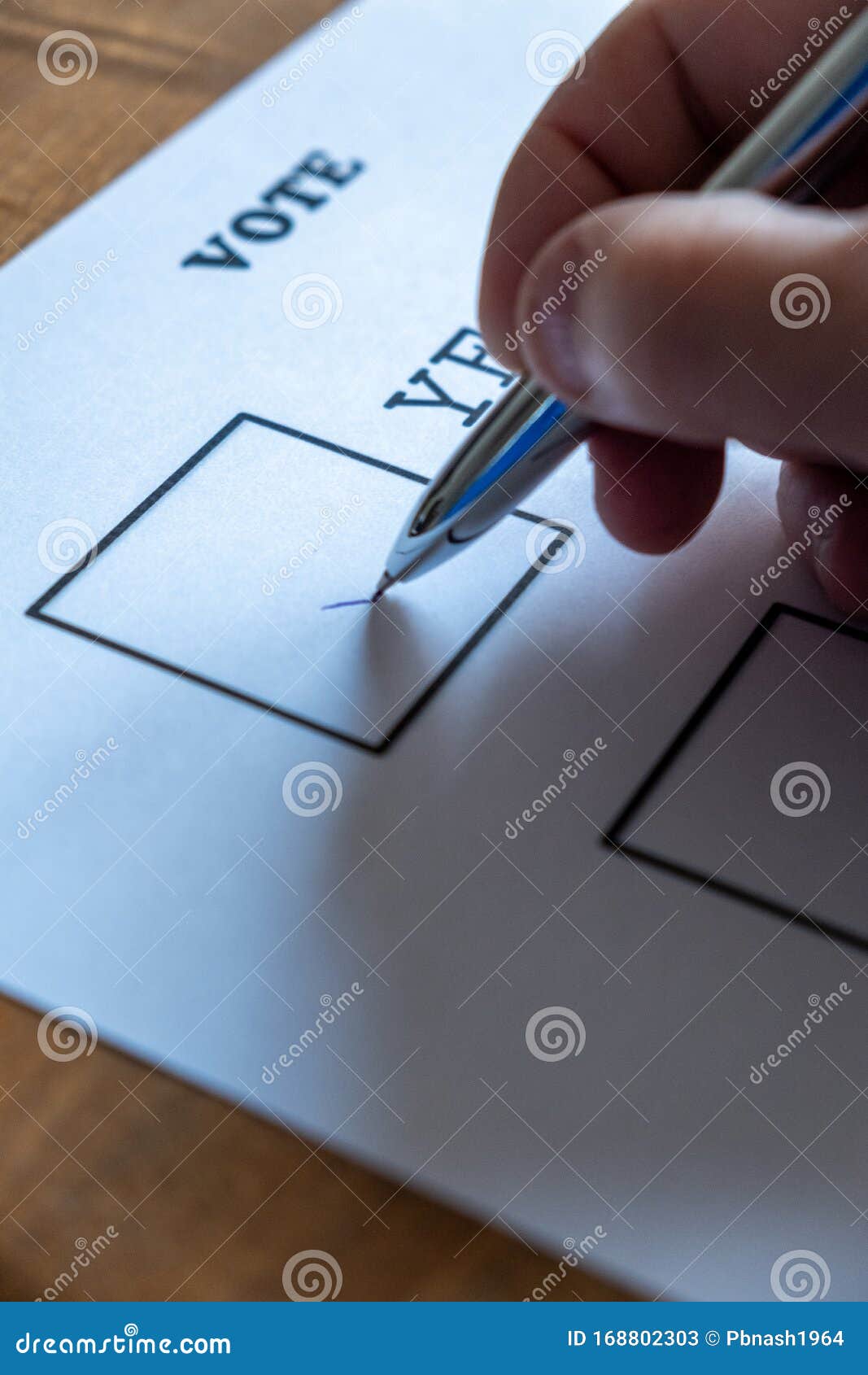 Voting ballot with choices stock image. Image of ballot - 168802303