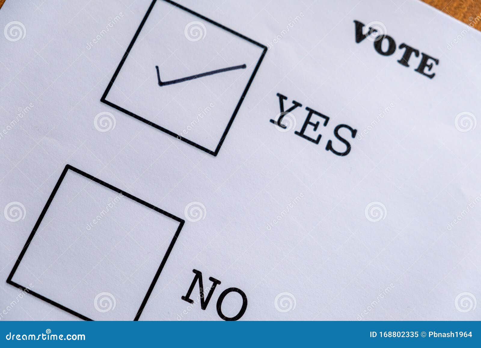 Voting ballot with choices stock image. Image of river - 168802335