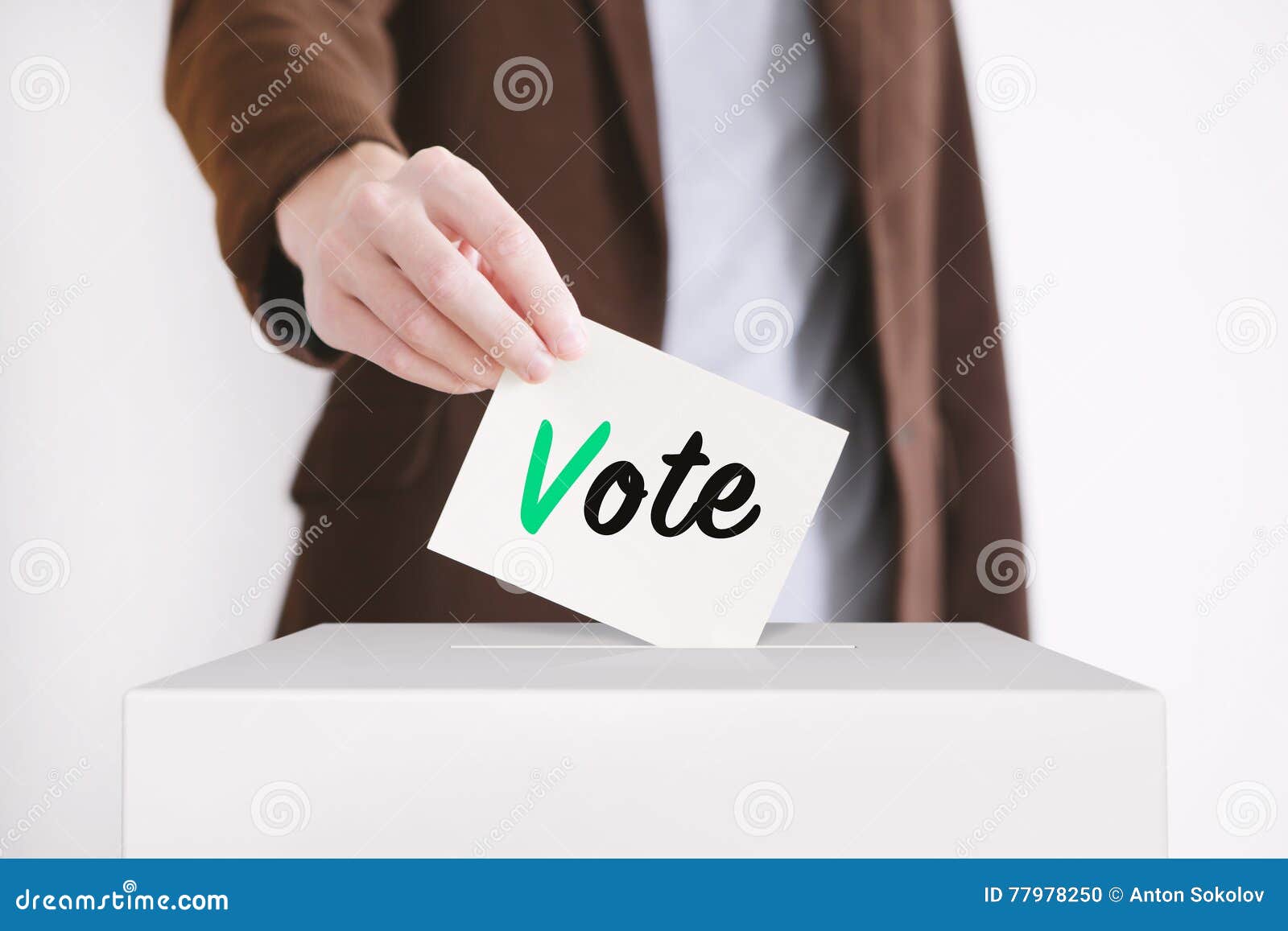 Voting. stock photo. Image of body, parliament, selective - 77978250
