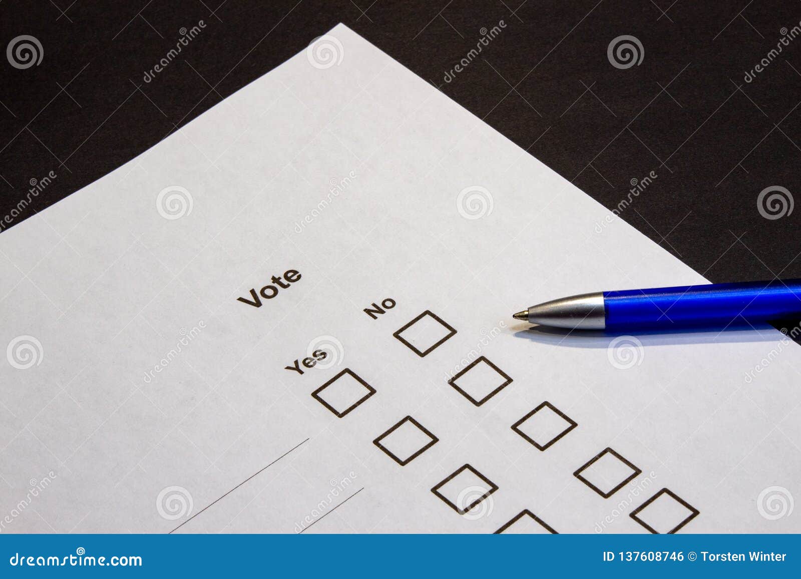 Voting-Multiple Selection Boxes Yes No Stock Illustration ...