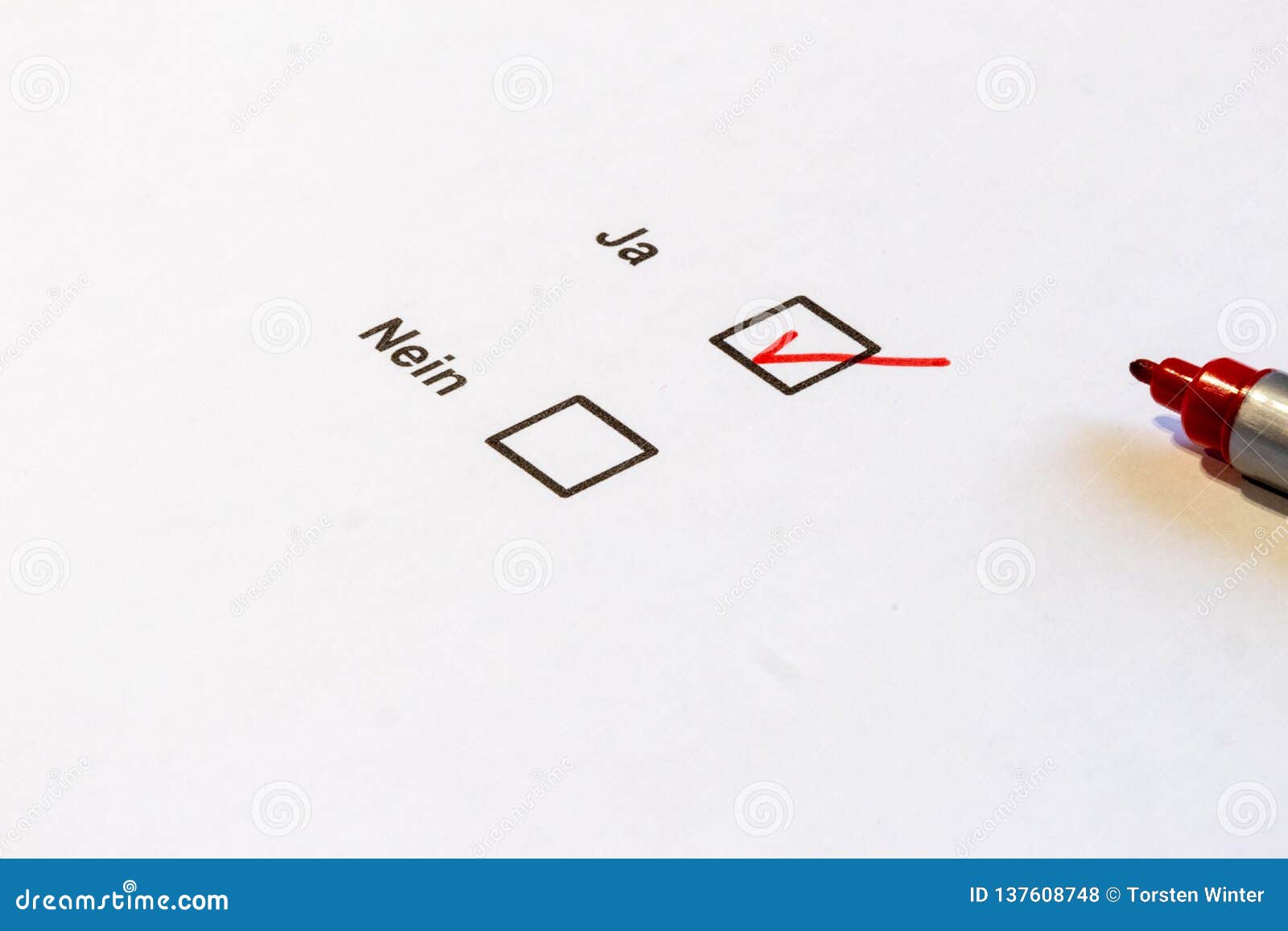 Voting-Multiple Selection Boxes Yes No Stock Illustration ...