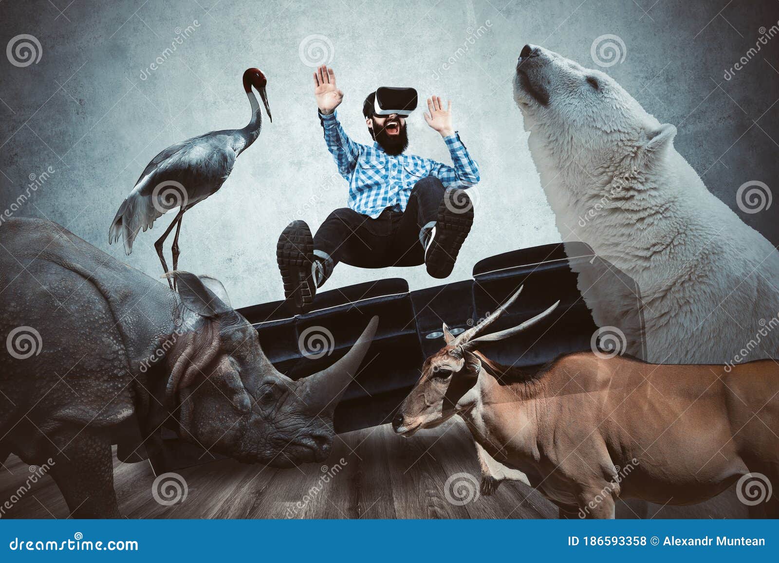VR with animals stock photo. Image of happy, immersion - 186593358