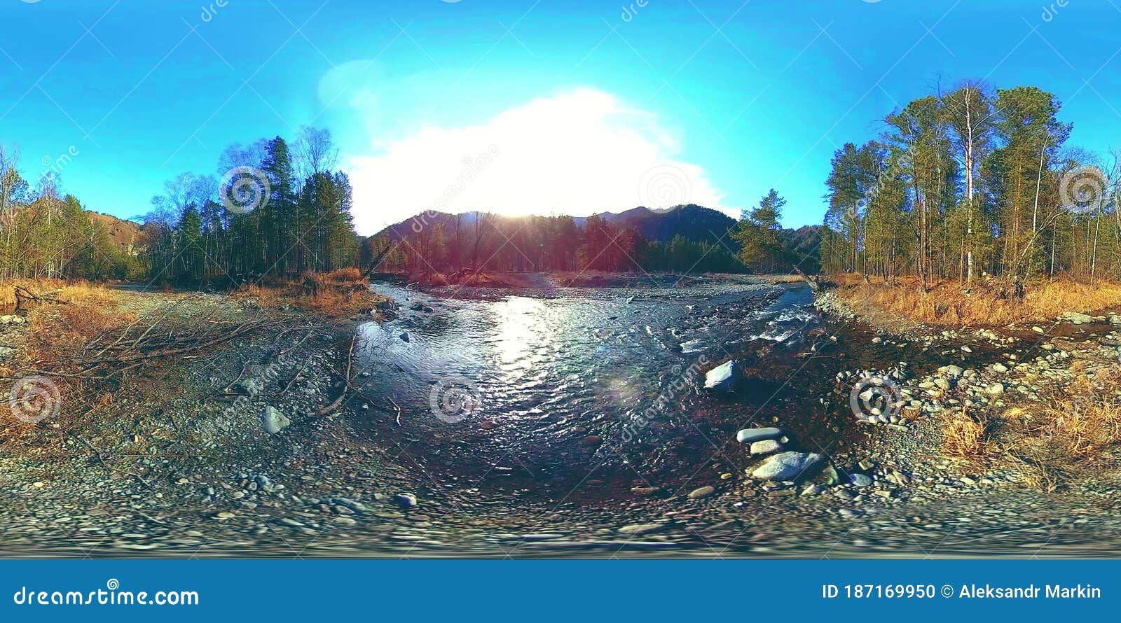 360 VR Virtual Reality of a Wild Mountains, Pine Forest and River Flows ...