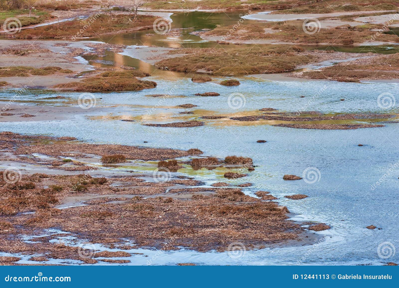 Vravrona Wetland stock image. Image of marsh, wilderness - 12441113