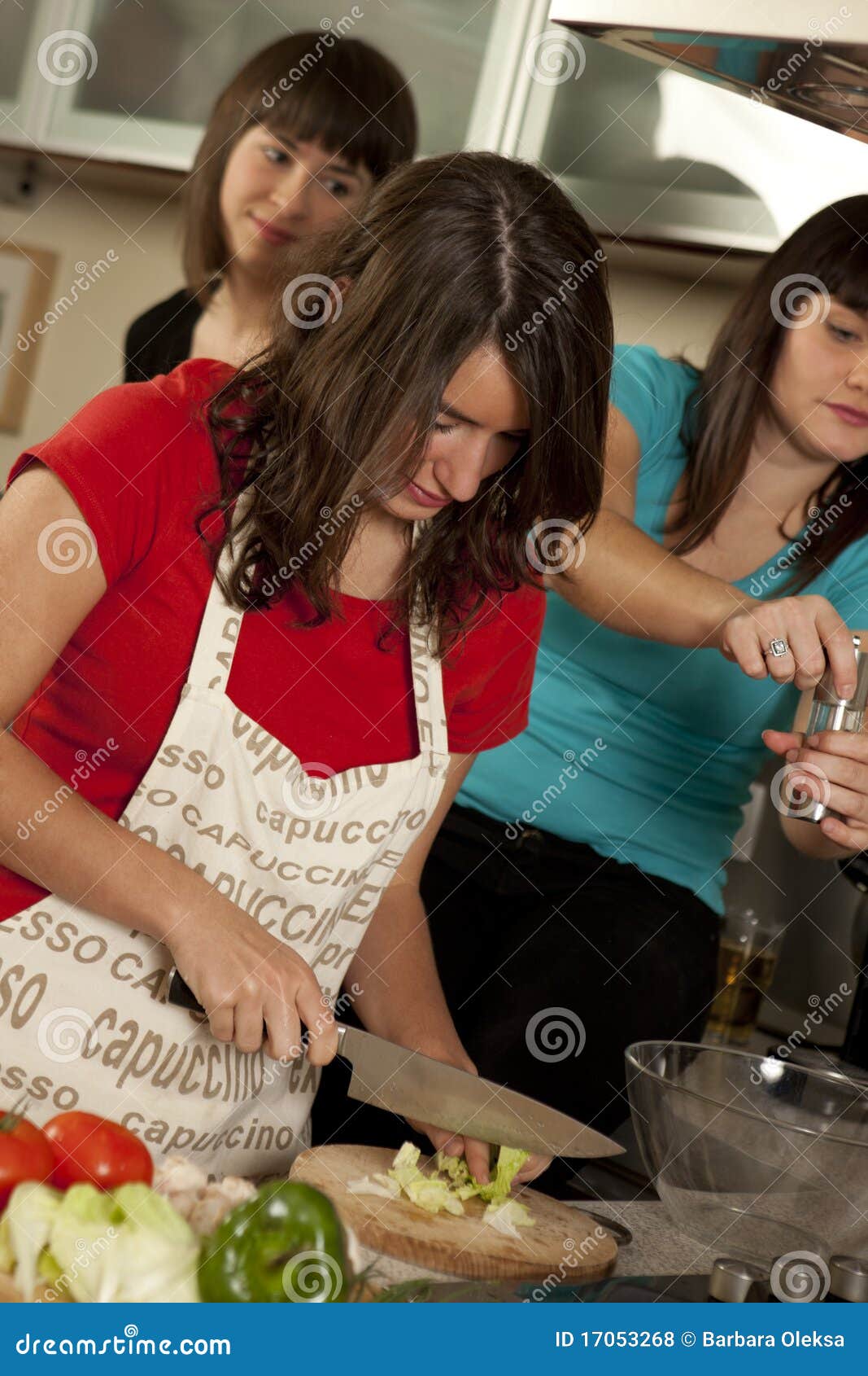 Vrienden die samen koken stock foto. Image of flat, mensen - 17053268