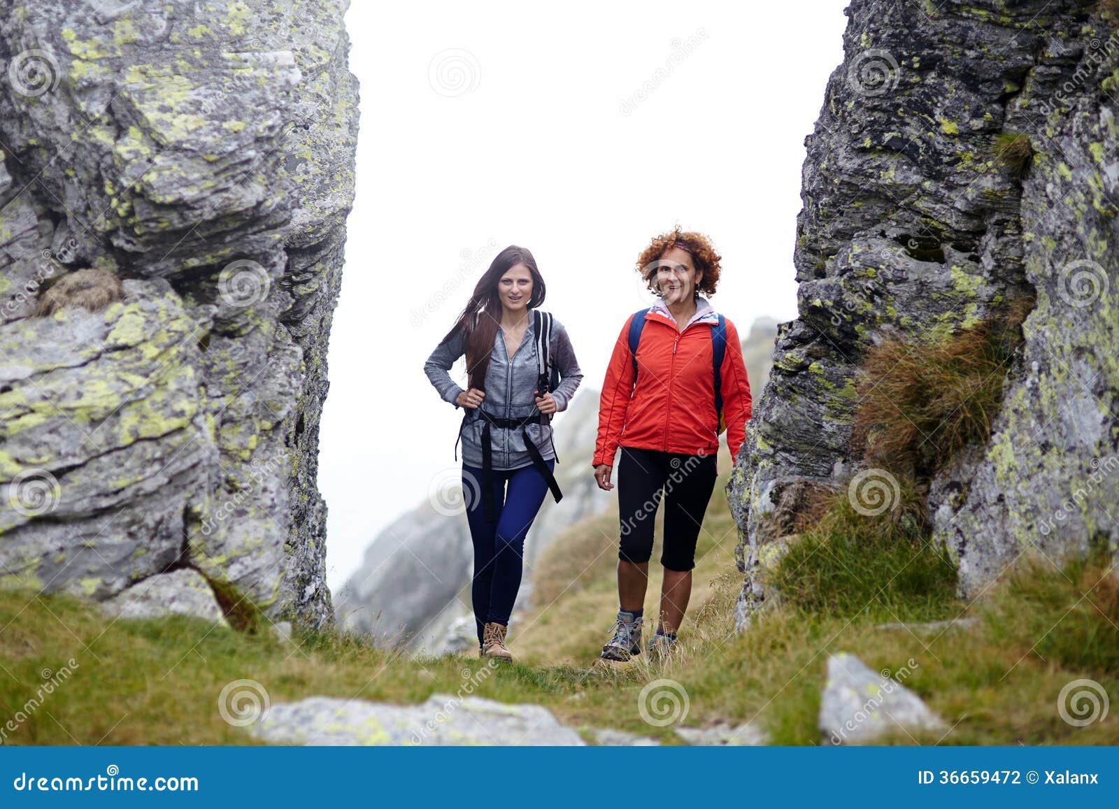Vrienden Die Samen Wandelen Stock Foto - Image of openlucht, berg: 36659472