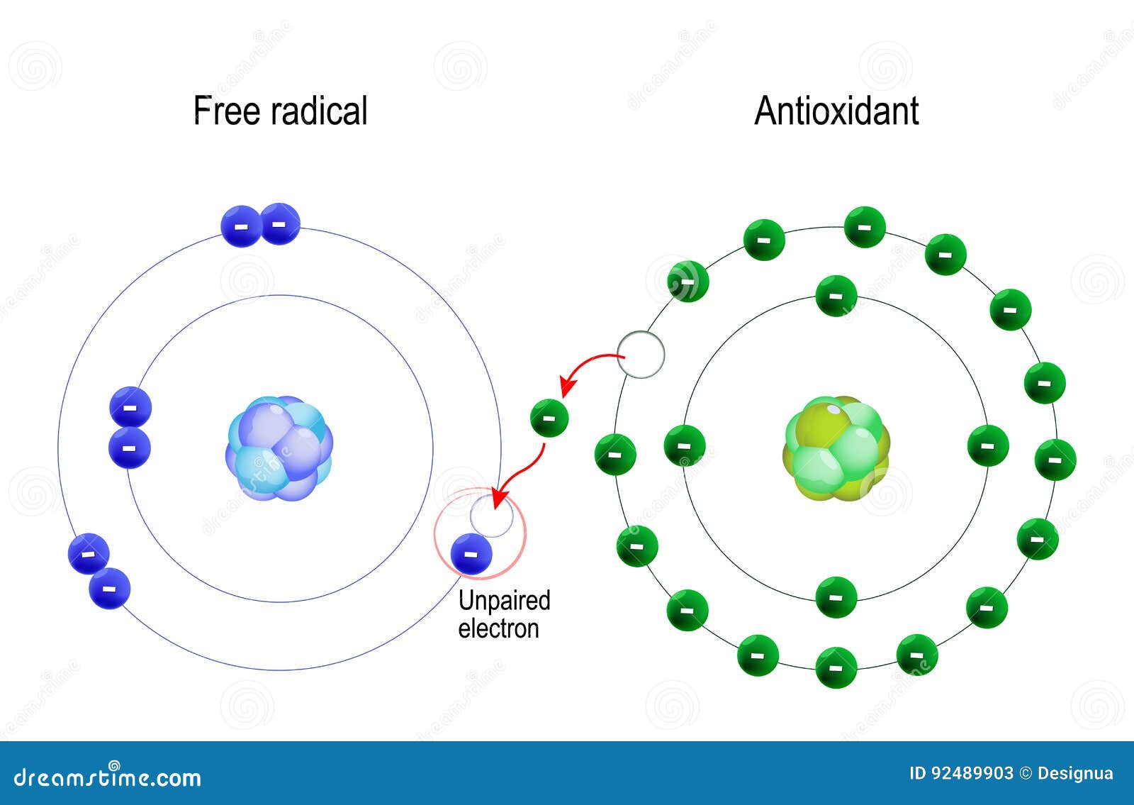 Vrije Basis En Middel Tegen Oxidatie Vector Illustratie - Illustration ...