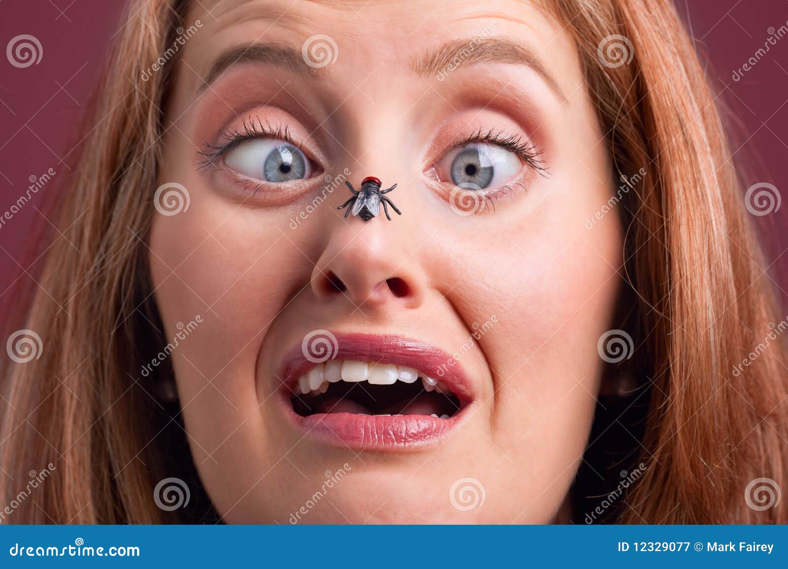 Vrouw Met Een Vlieg Op Haar Neus Stock Afbeelding - Image of kleur ...