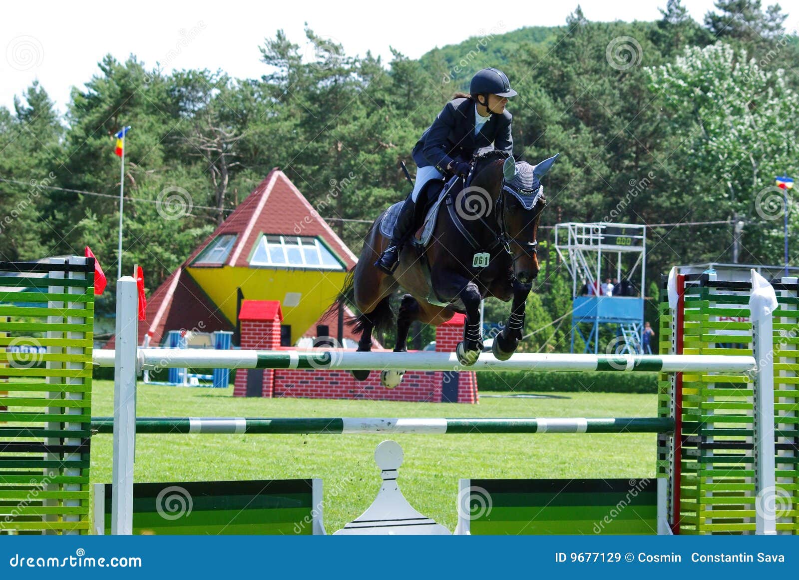 Vrouw Op Het Springen Paard Redactionele Stock Afbeelding - Image of ...
